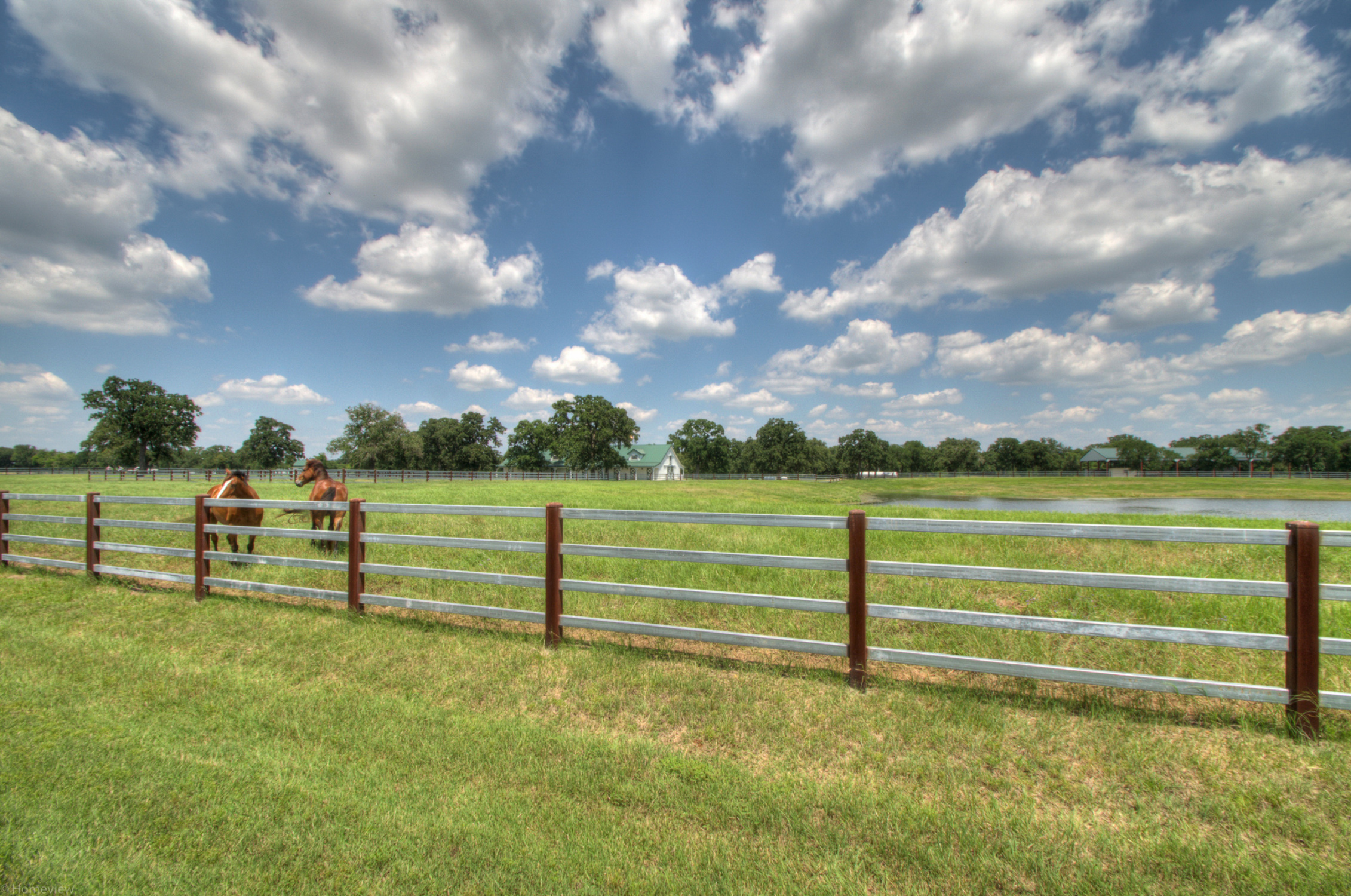 1,252 Acres Wire Tree Ranch | Hill Country Ranch for Sale | Dullnig Ranches