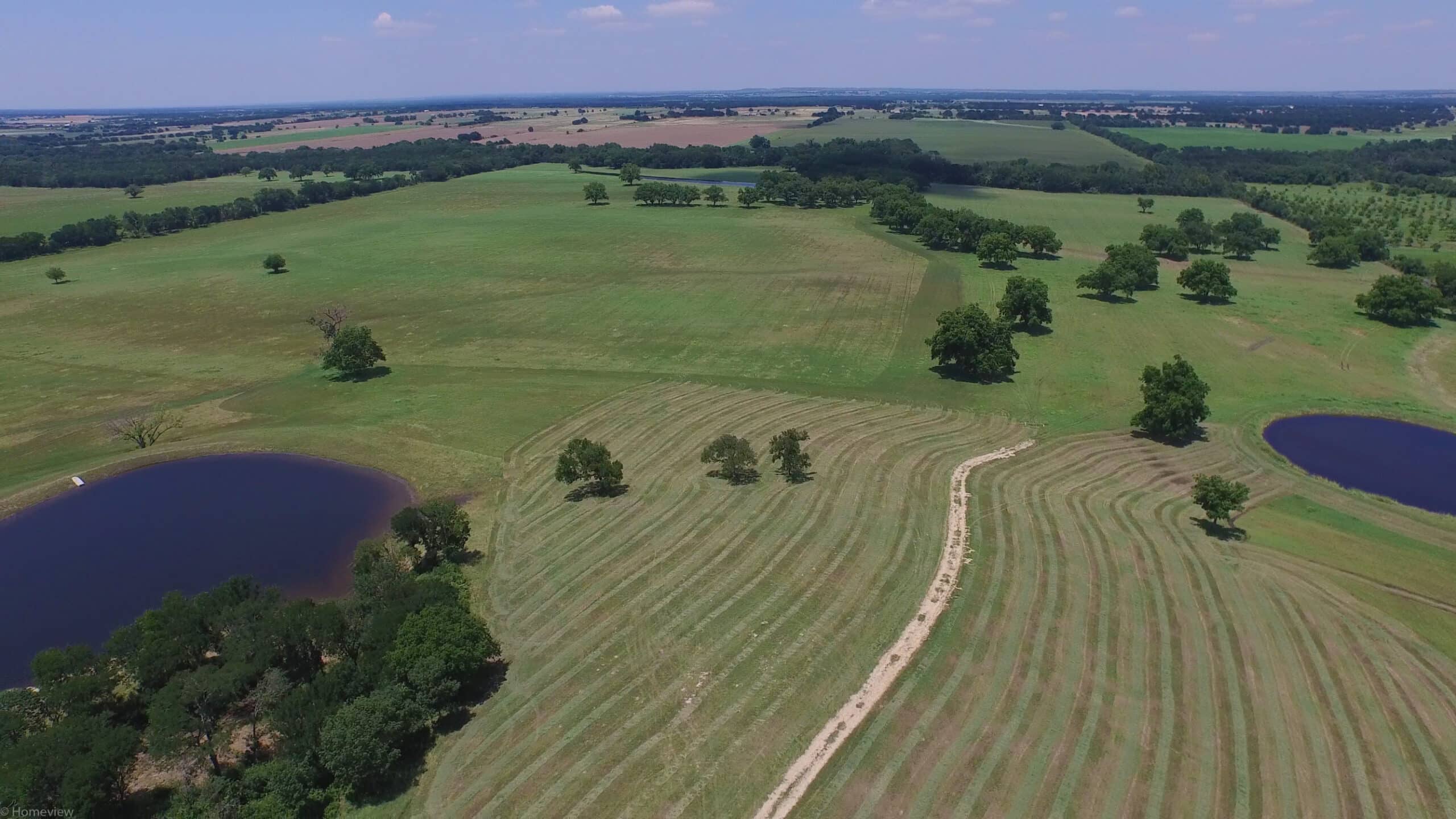 1,252 Acres Wire Tree Ranch | Hill Country Ranch for Sale | Dullnig Ranches
