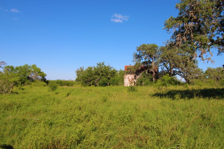 501 Acres Big Oak Ranch | South Texas Ranch for Sale | Dullnig Ranches