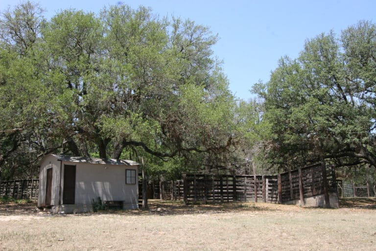 3,737 Acres Diamond X Ranch - Dullnig Ranches