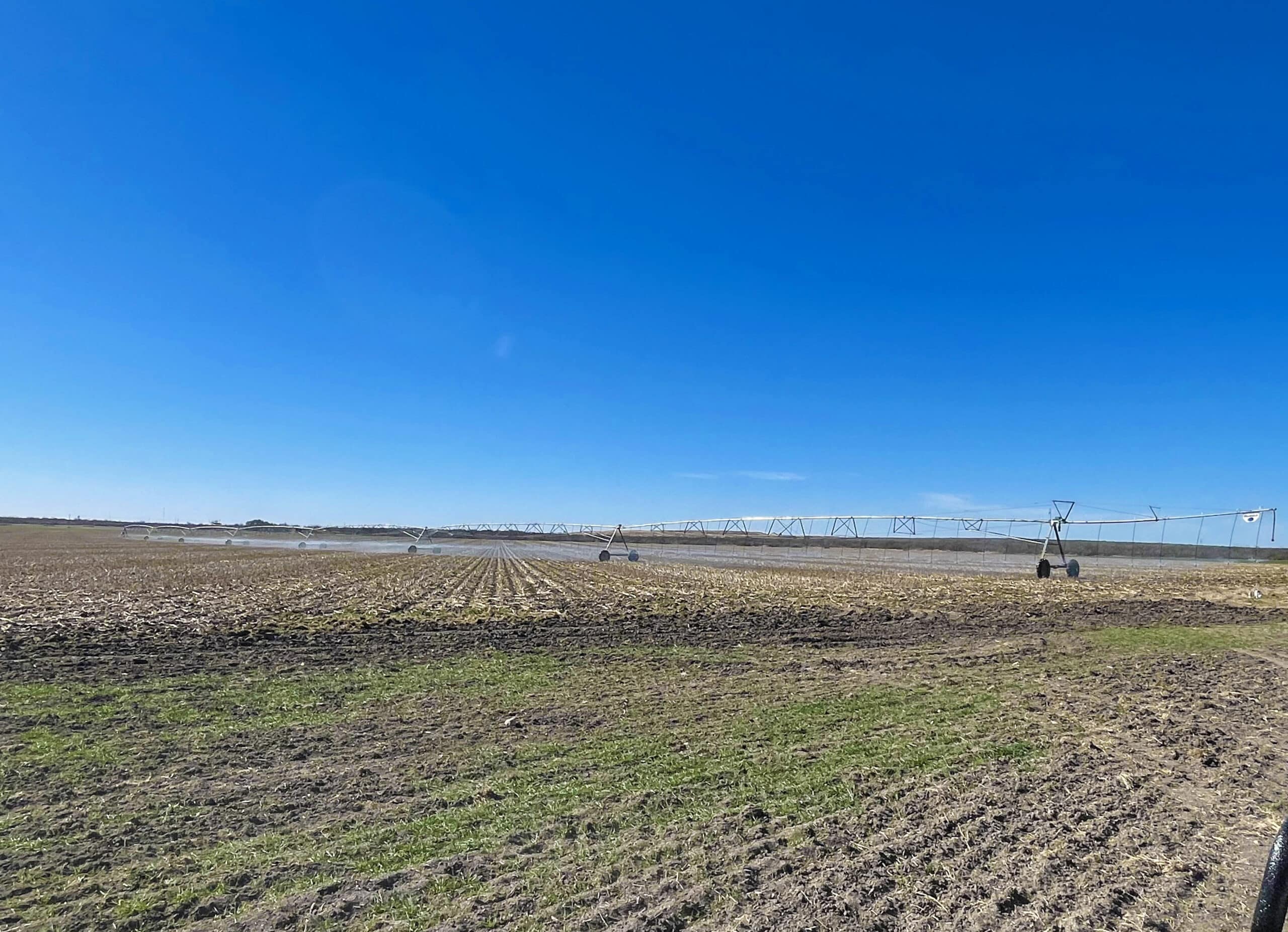 616 Acres Gorman Farm | South Texas Ranch for Sale | Dullnig Ranches