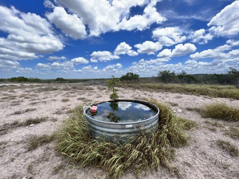 9,382 Acres Salarita Ranch - Dullnig Ranches