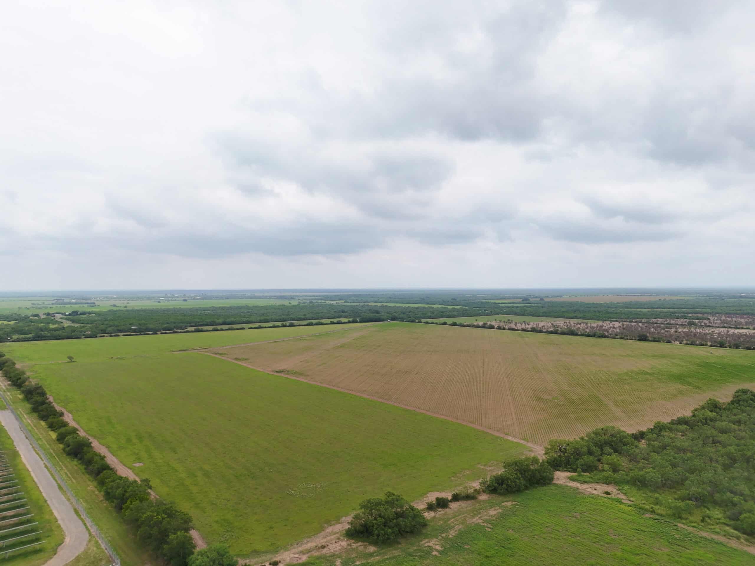 82 Acres Knippa Farm | Hill Country Ranch for Sale | Dullnig Ranches