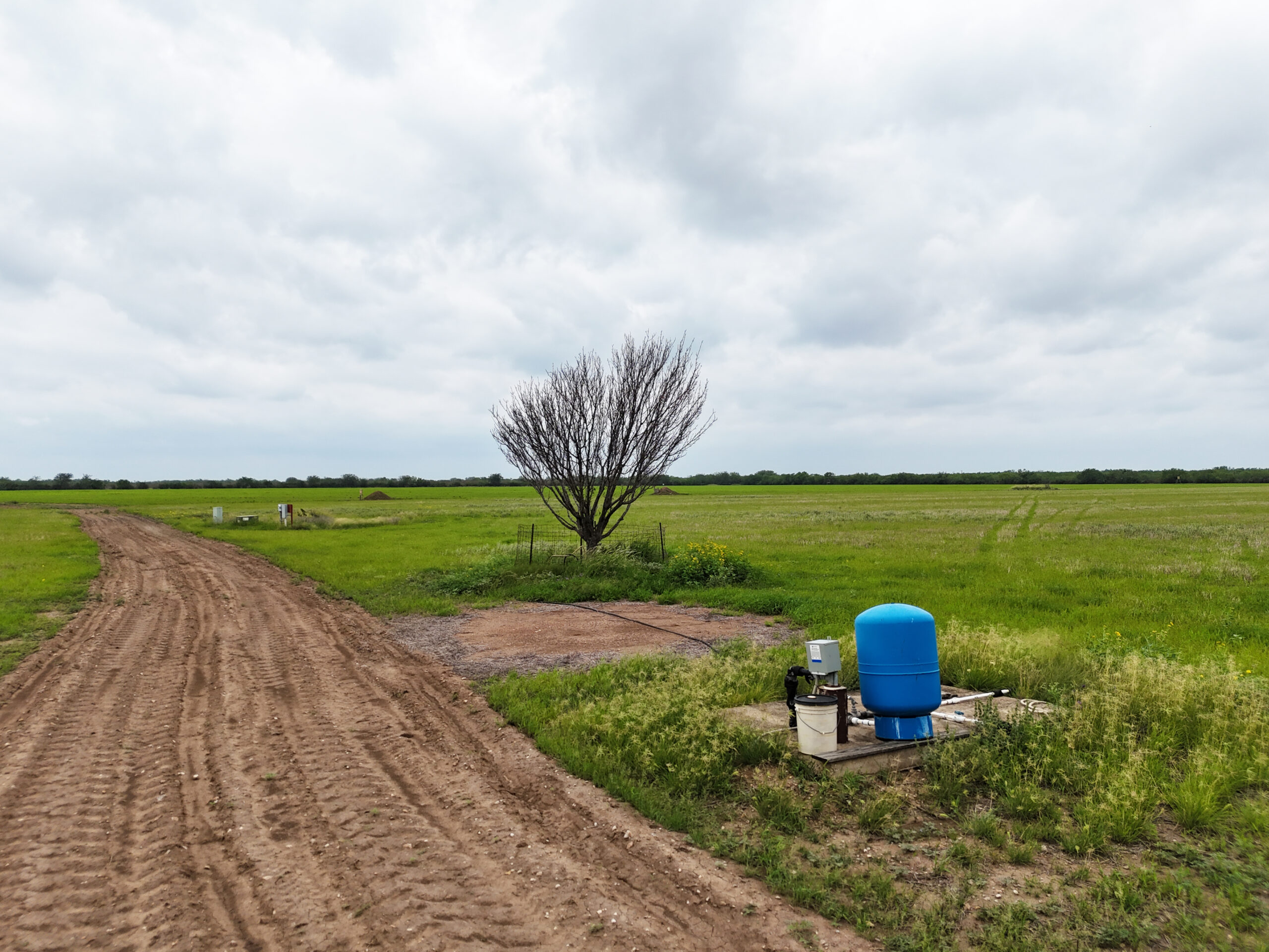 82 Acres Knippa Farm | Hill Country Ranch for Sale | Dullnig Ranches