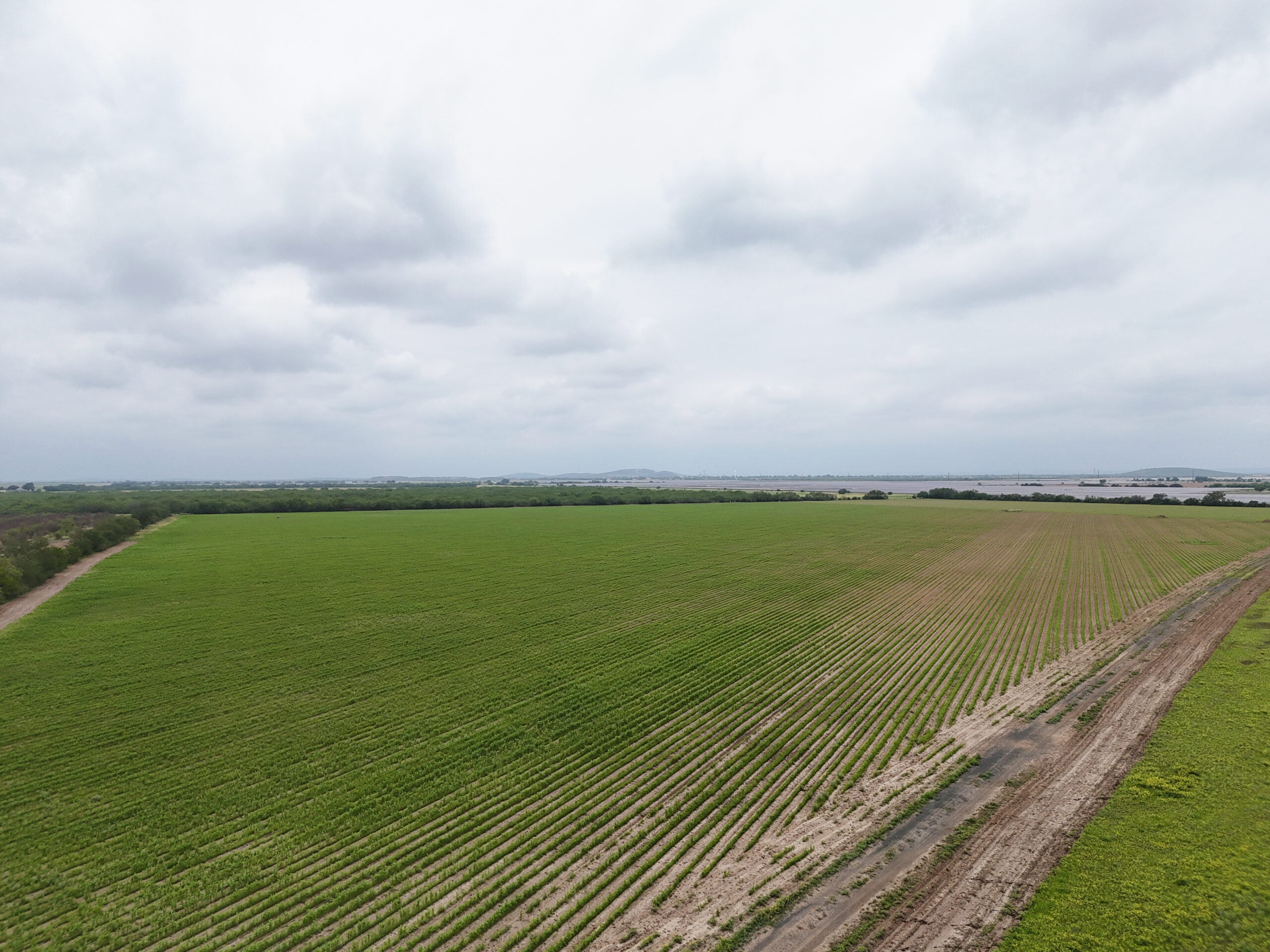 82 Acres Knippa Farm | Hill Country Ranch for Sale | Dullnig Ranches
