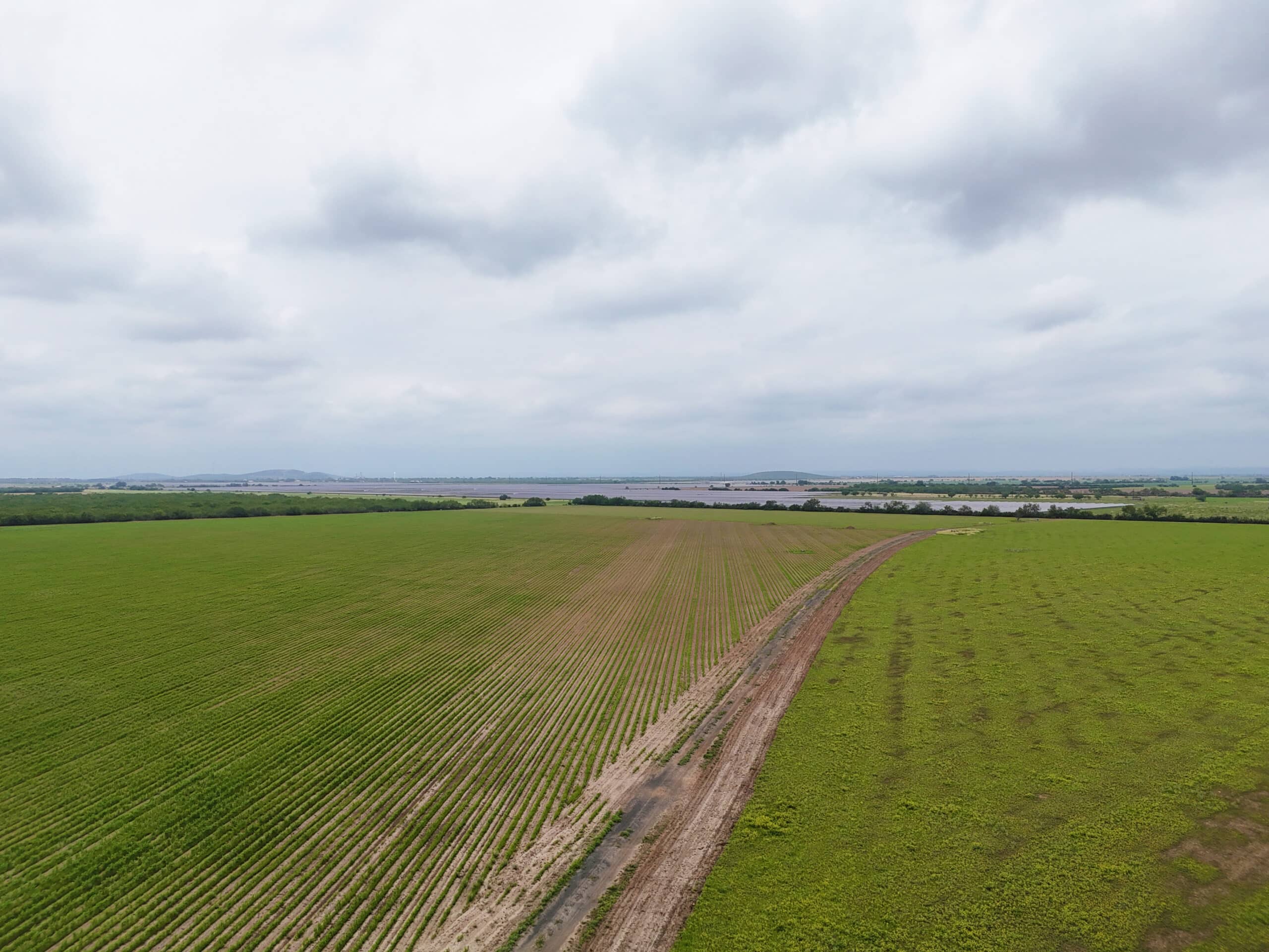 82 Acres Knippa Farm | Hill Country Ranch for Sale | Dullnig Ranches