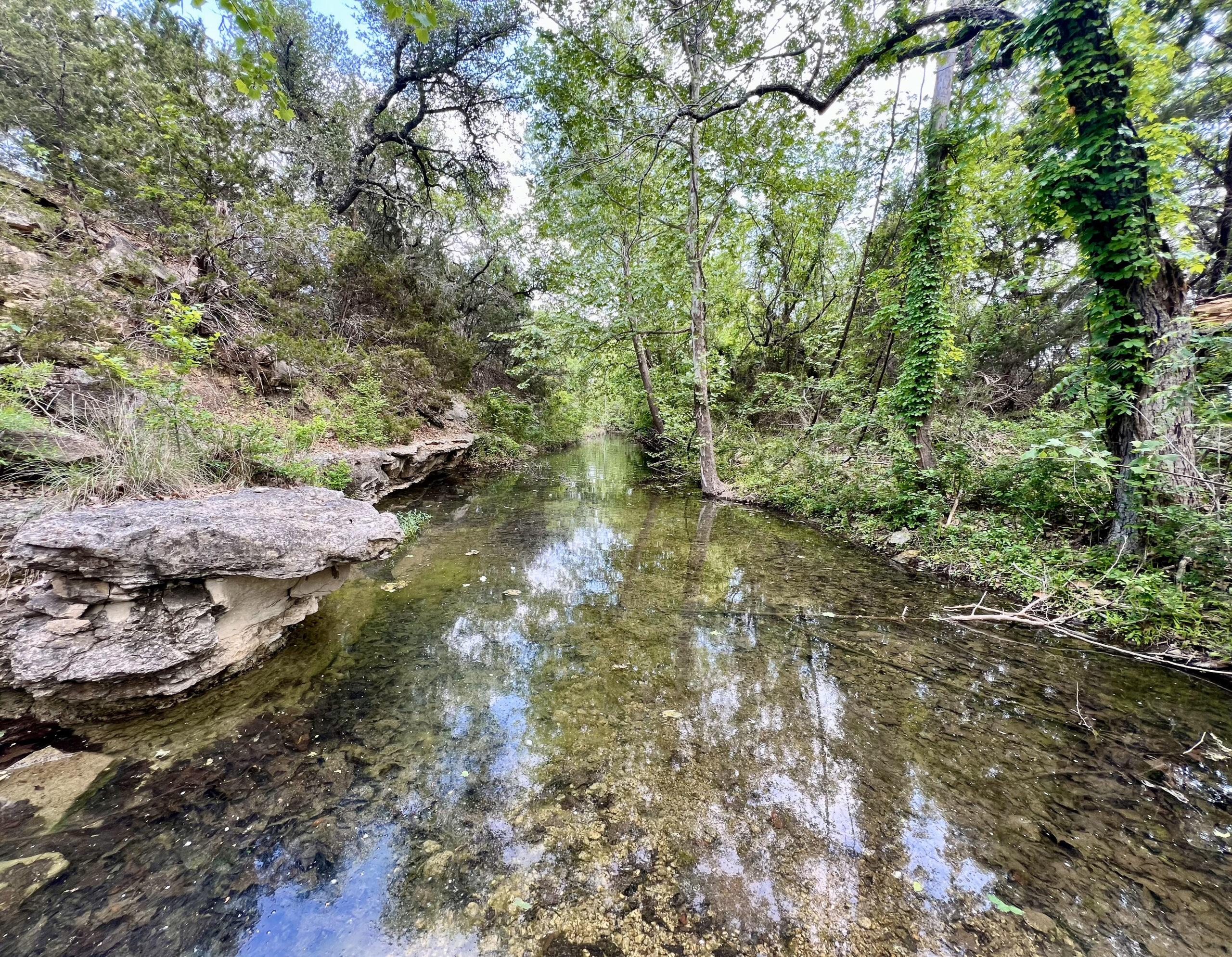 68 Acres Hanley Creek Ranch East - Dullnig Ranches