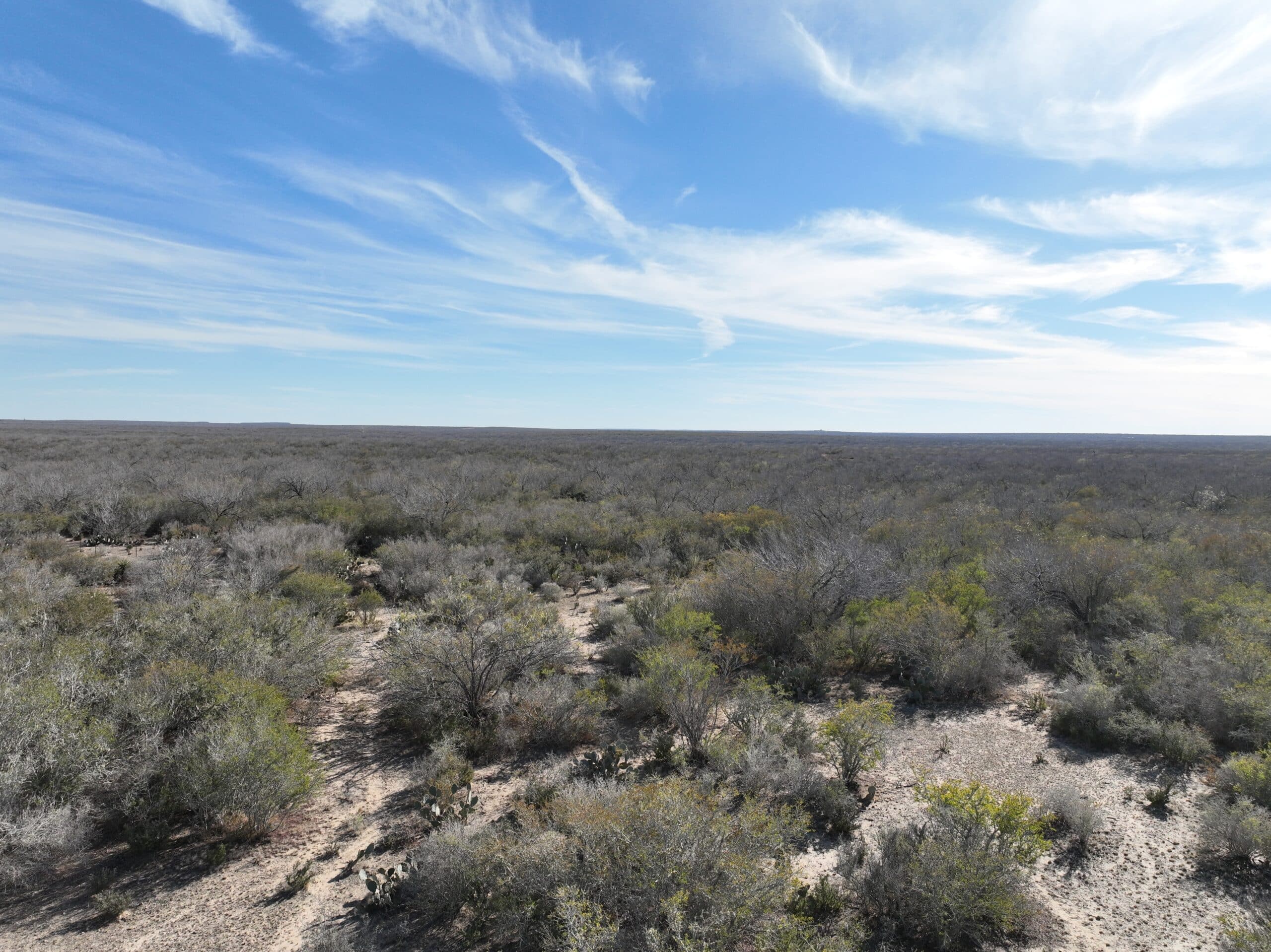 53 Acres McMullen County Ranch | South Texas Ranch for Sale | Dullnig ...