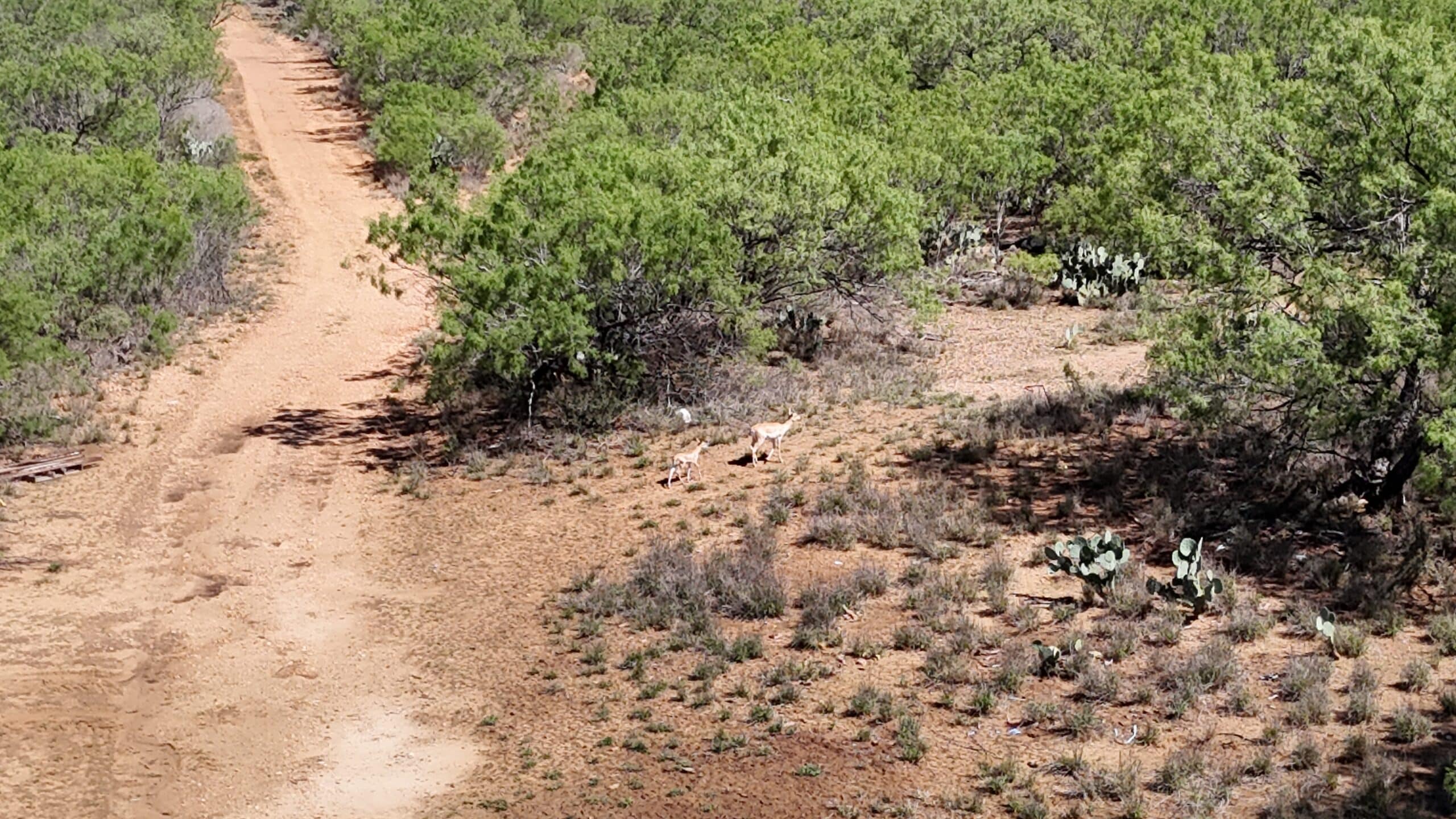 1,296 Acres Big Wells Ranch - Dullnig Ranches