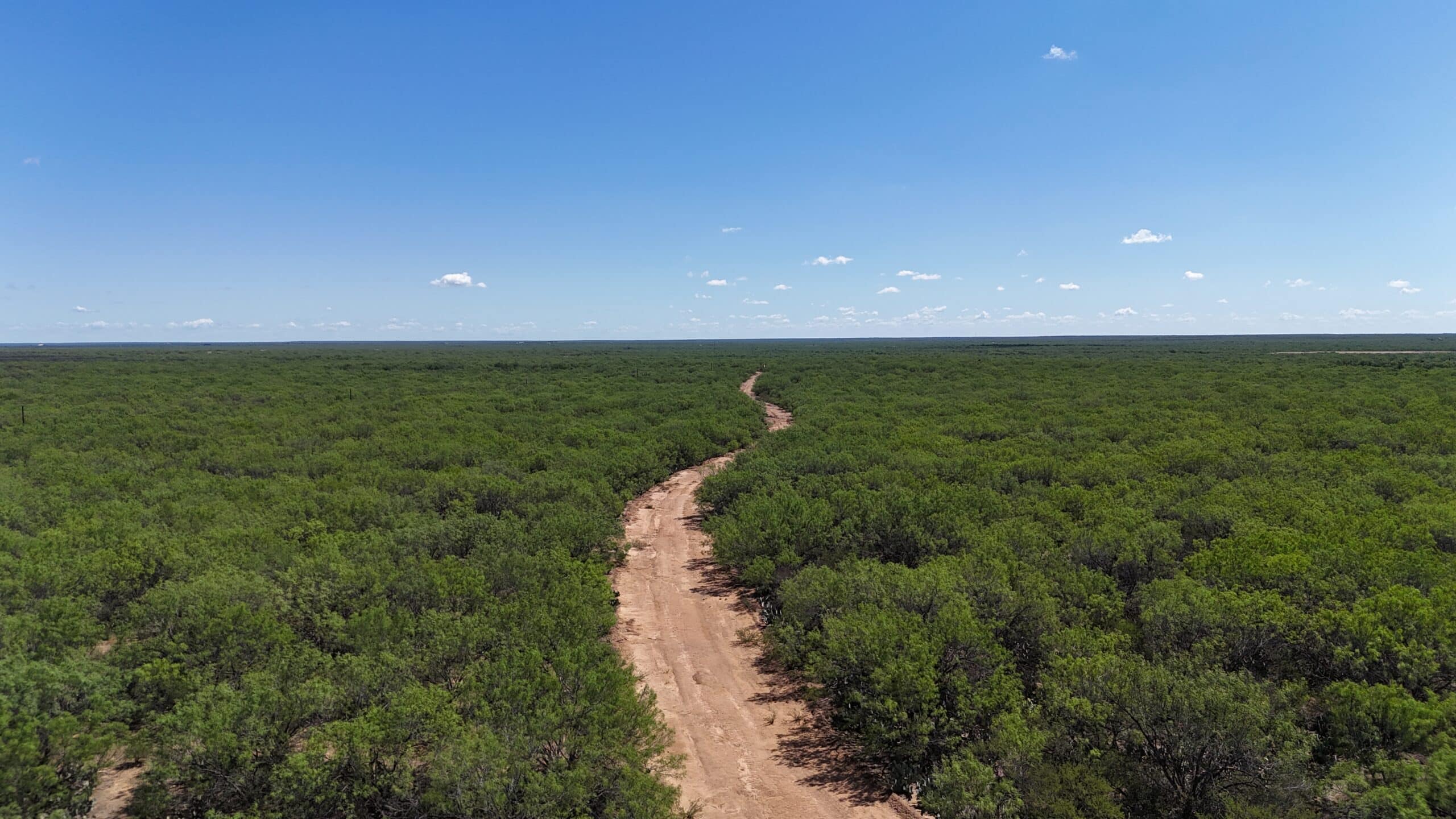 1,296 Acres Big Wells Ranch - Dullnig Ranches