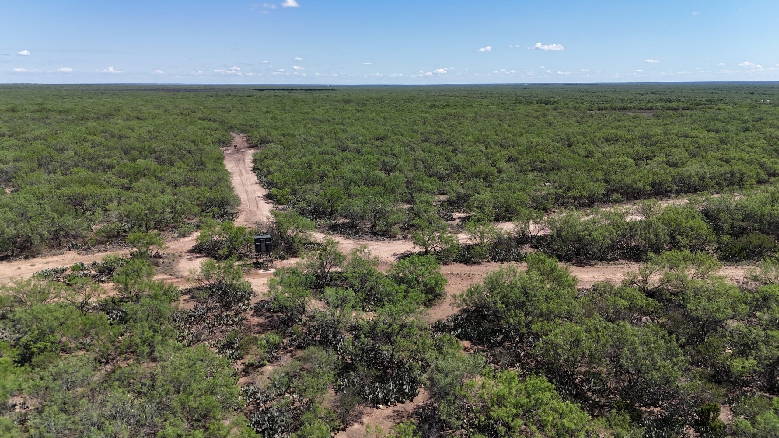 1,296 Acres Big Wells Ranch - Dullnig Ranches