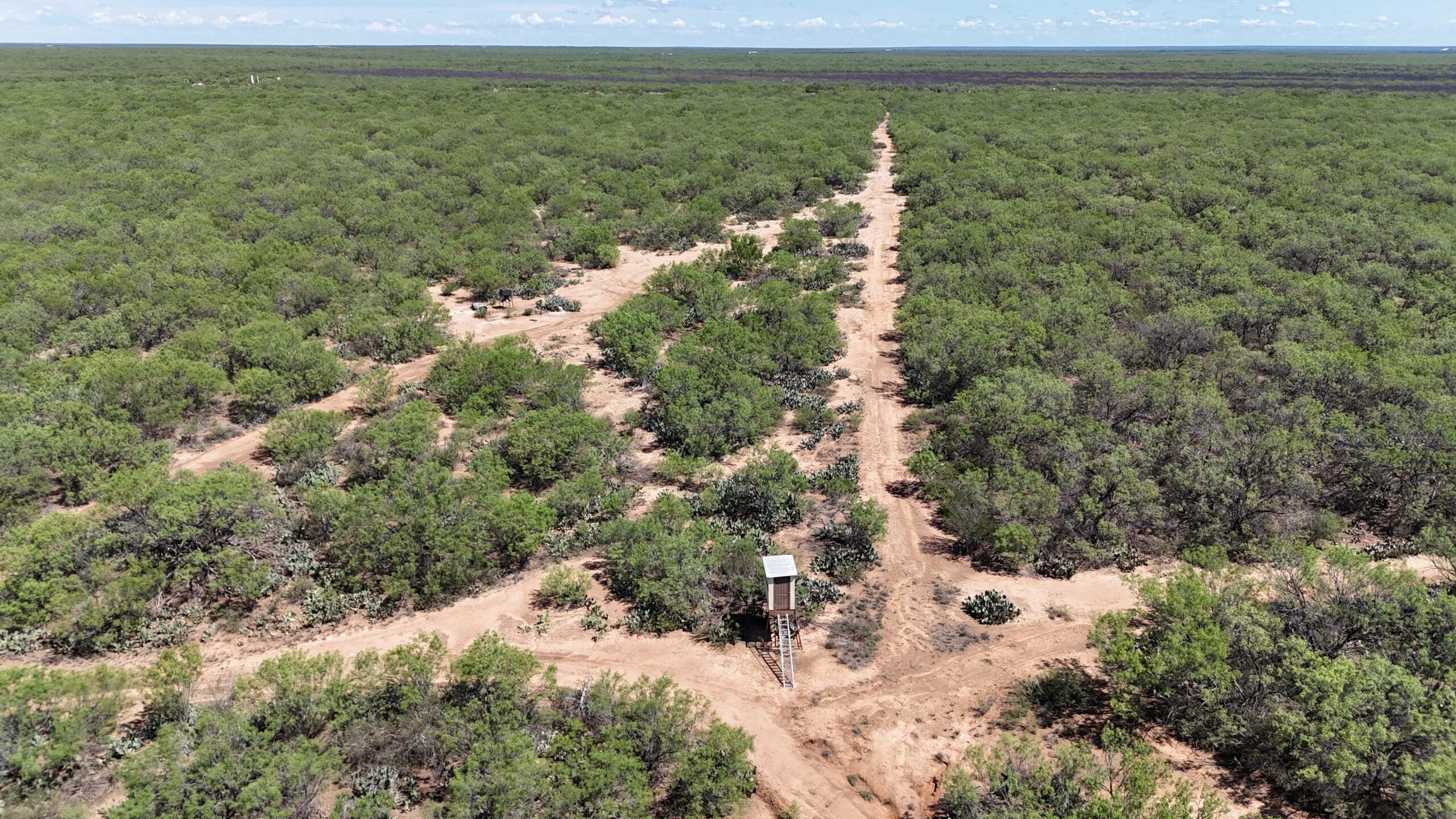 1,296 Acres Big Wells Ranch - Dullnig Ranches