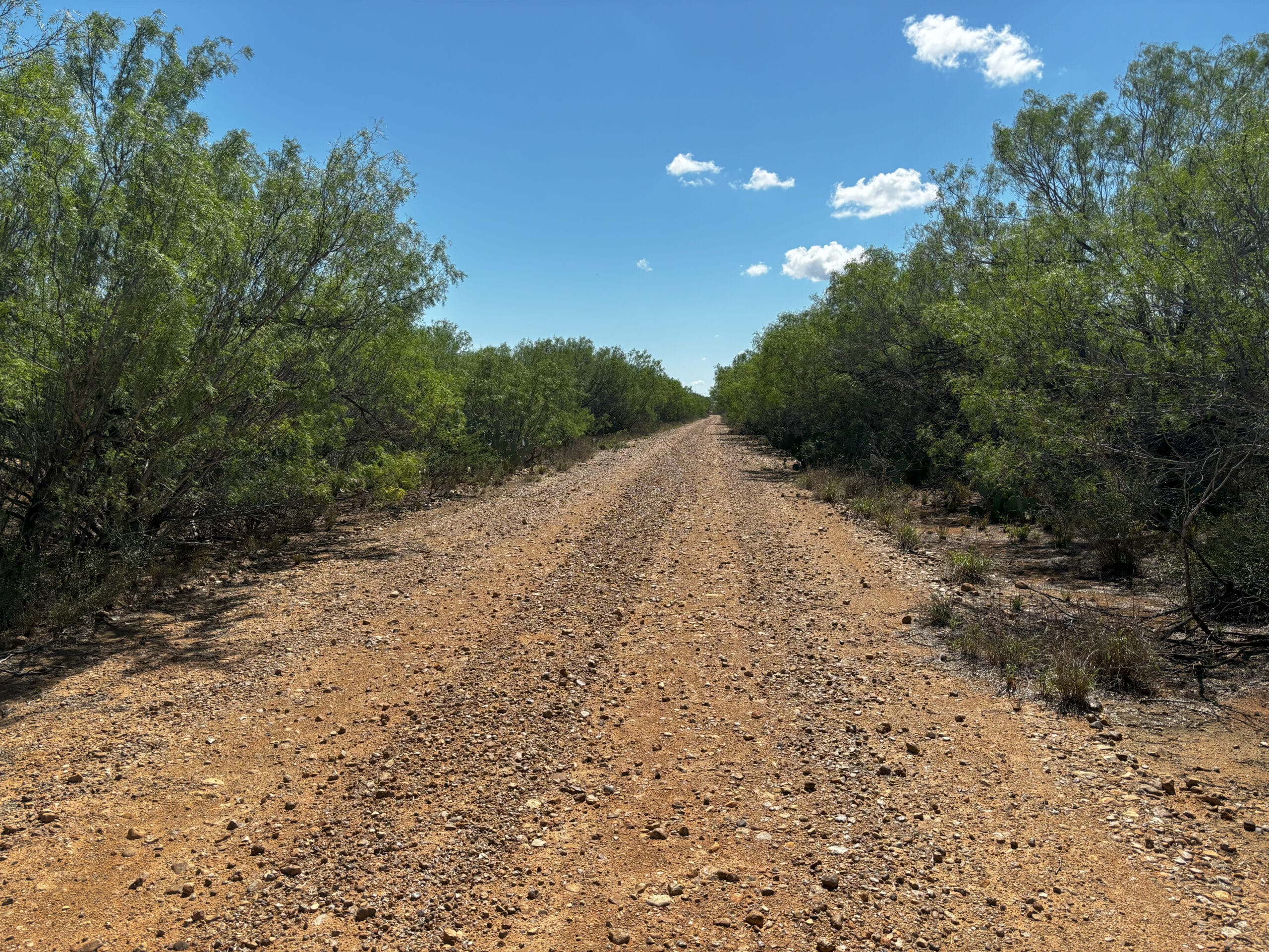 1,296 Acres Big Wells Ranch - Dullnig Ranches