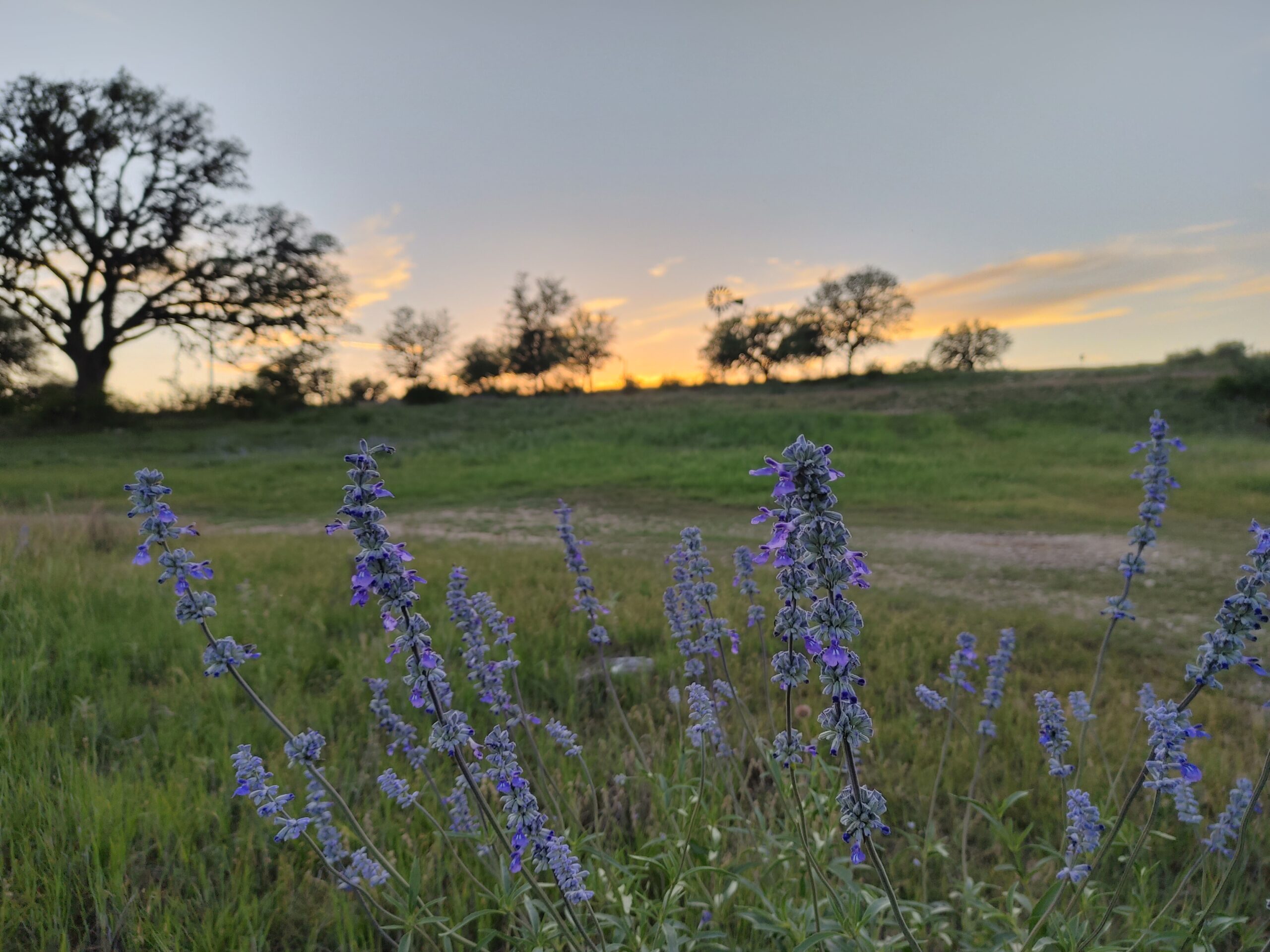 182 Acres Silver Creek Ranch | Hill Country Ranch for Sale | Dullnig ...