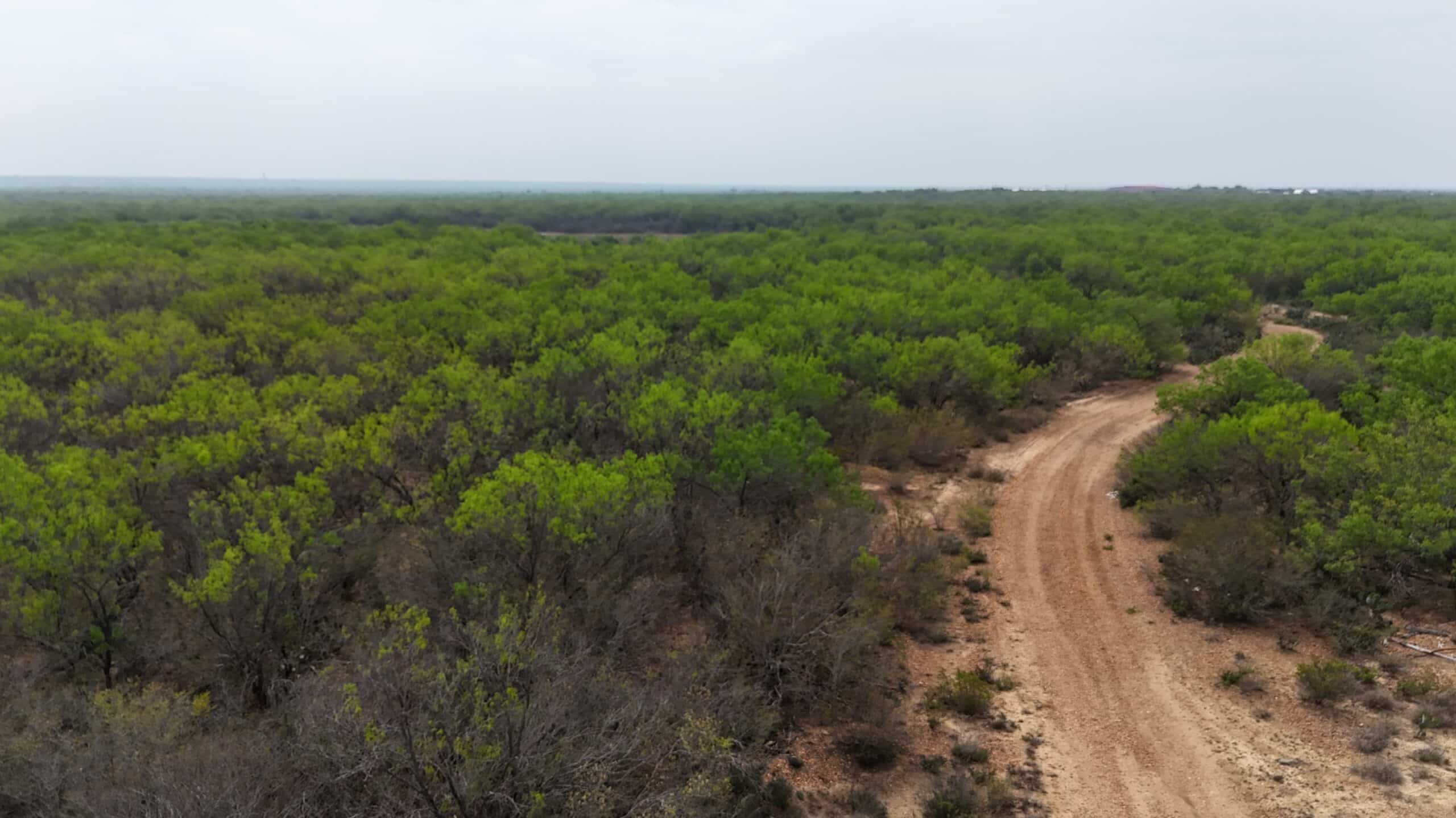 1,296 Acres Big Wells Ranch - Dullnig Ranches