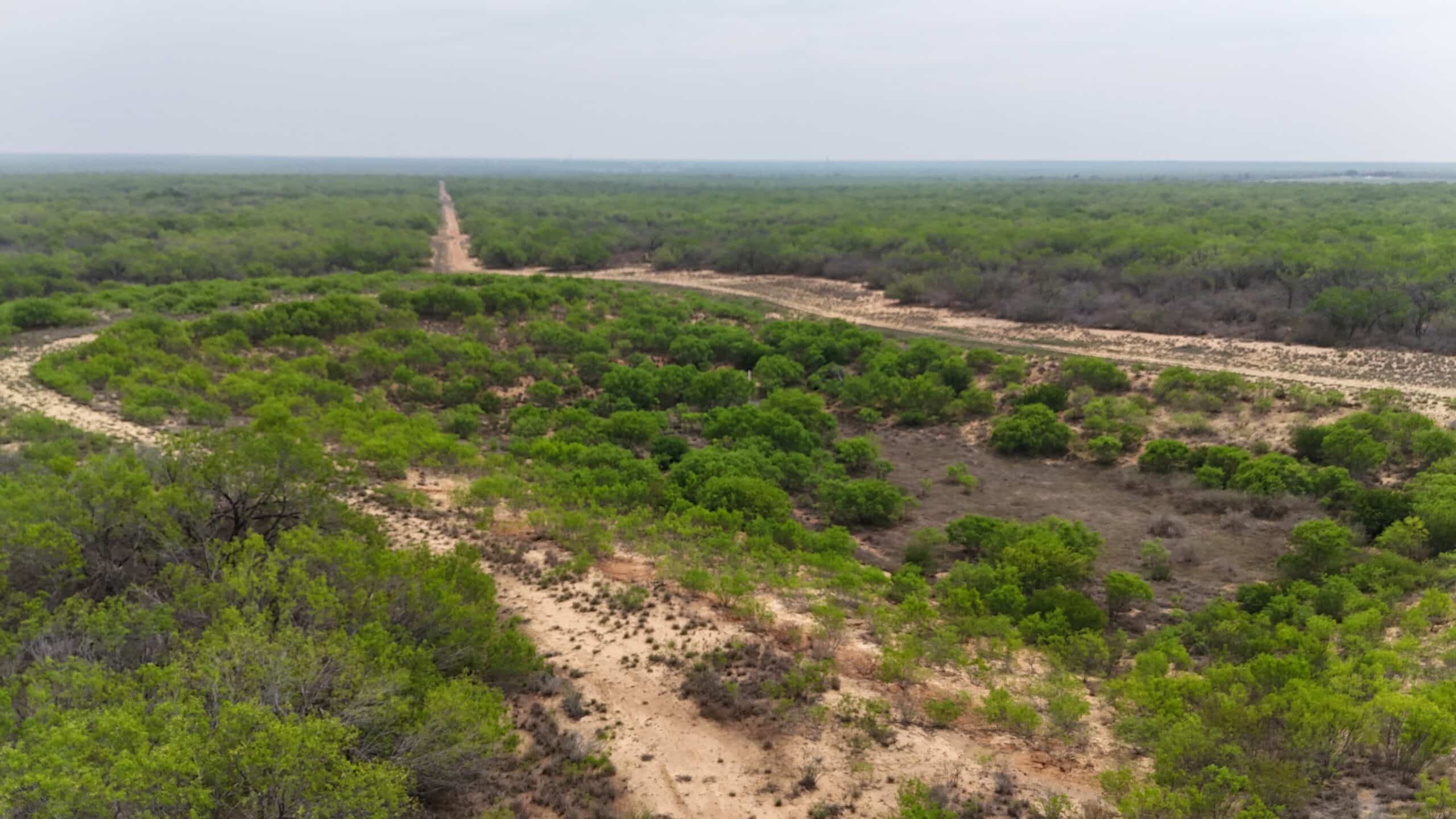 1,296 Acres Big Wells Ranch - Dullnig Ranches