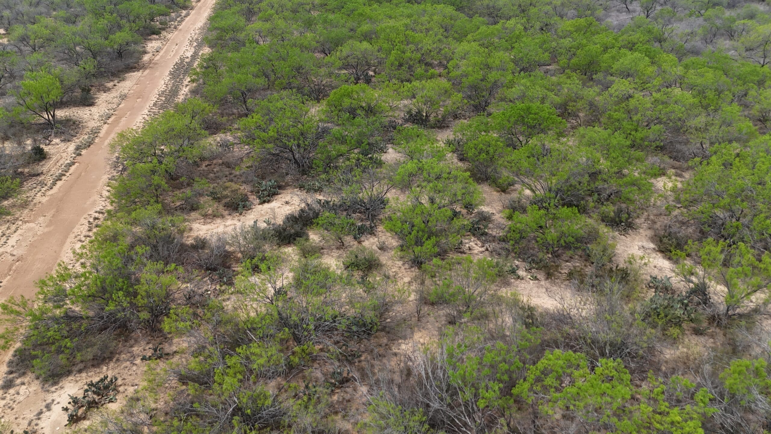 1,296 Acres Big Wells Ranch - Dullnig Ranches