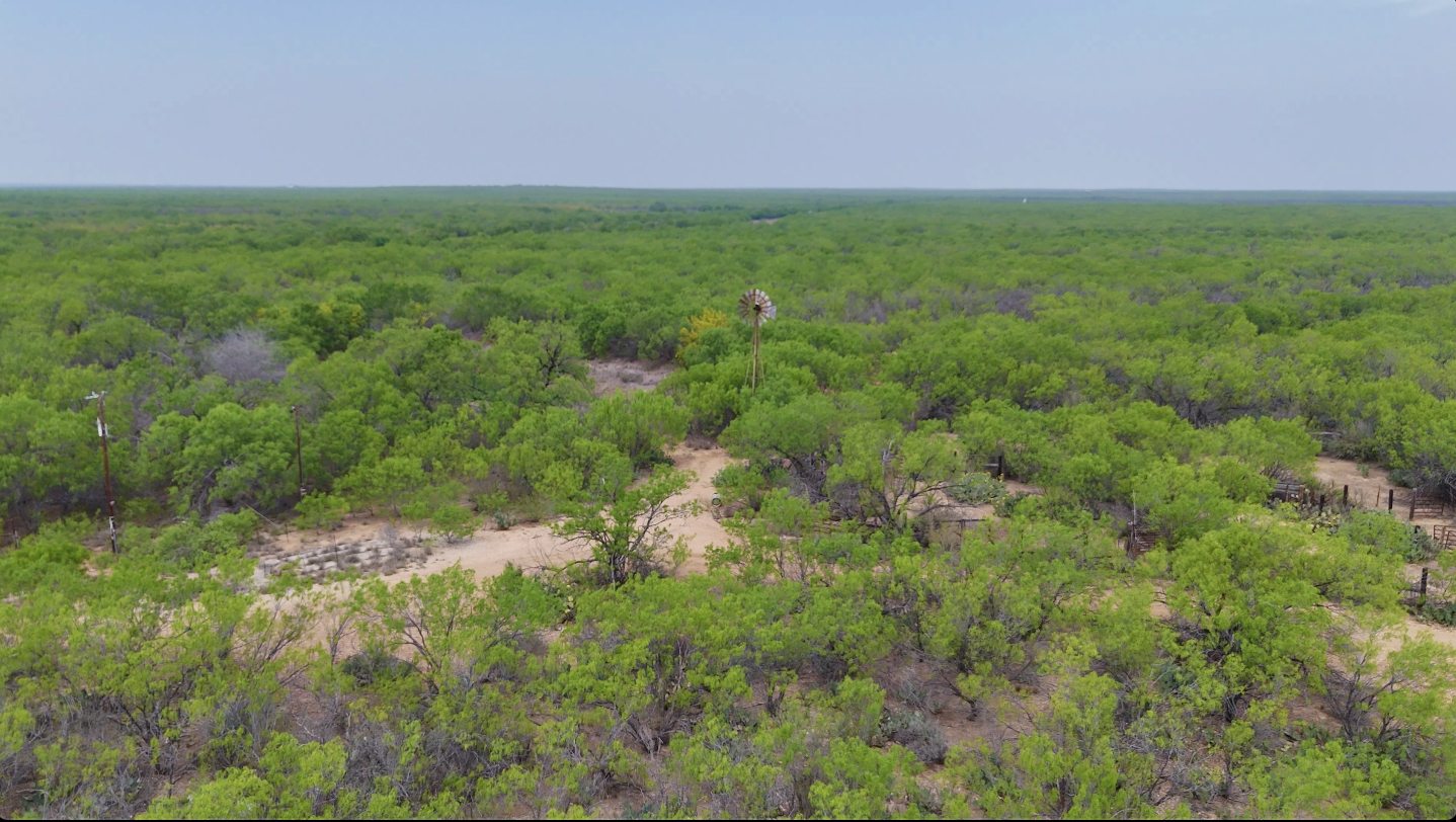 1,296 Acres Big Wells Ranch - Dullnig Ranches
