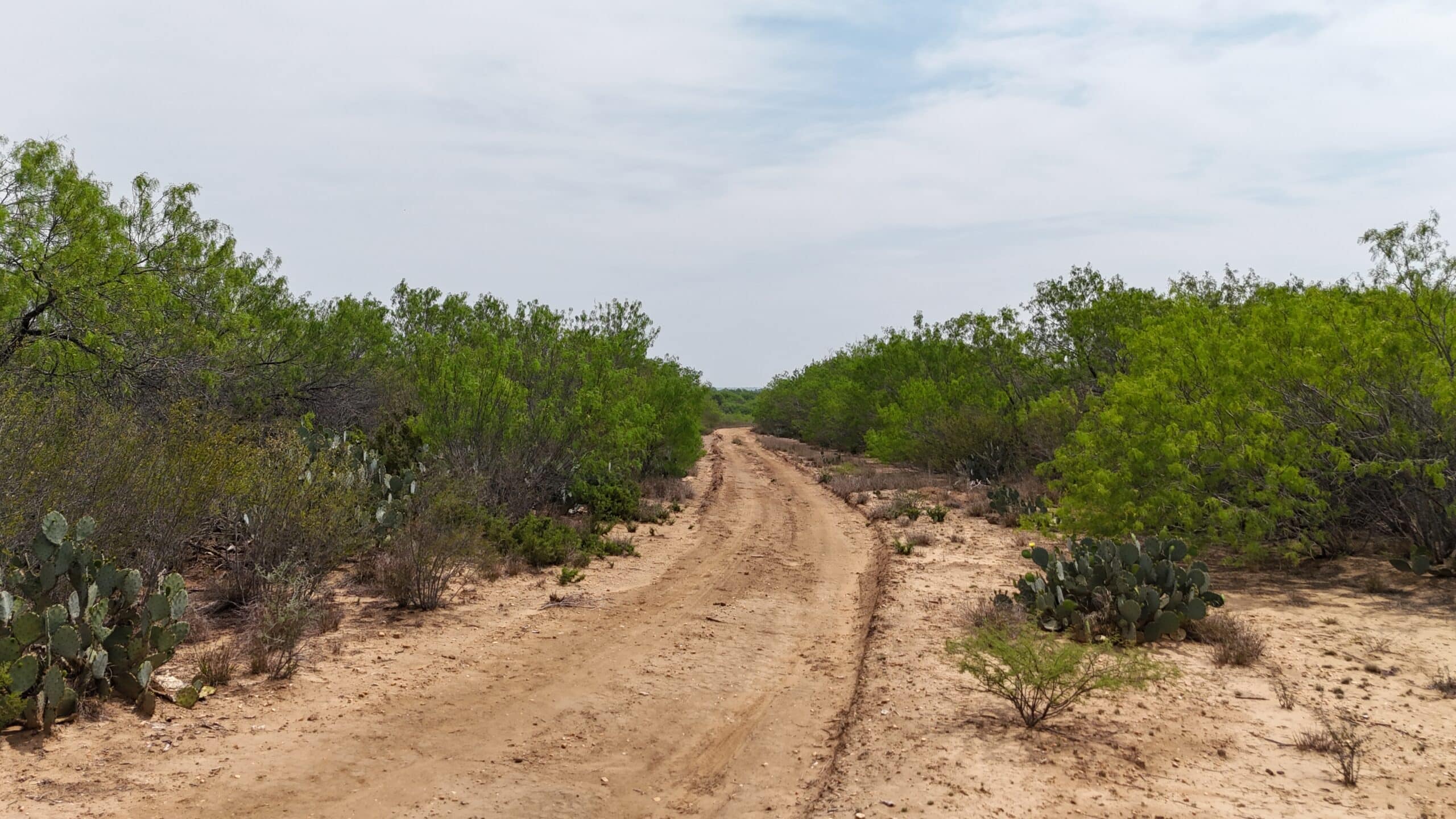 1,296 Acres Big Wells Ranch - Dullnig Ranches