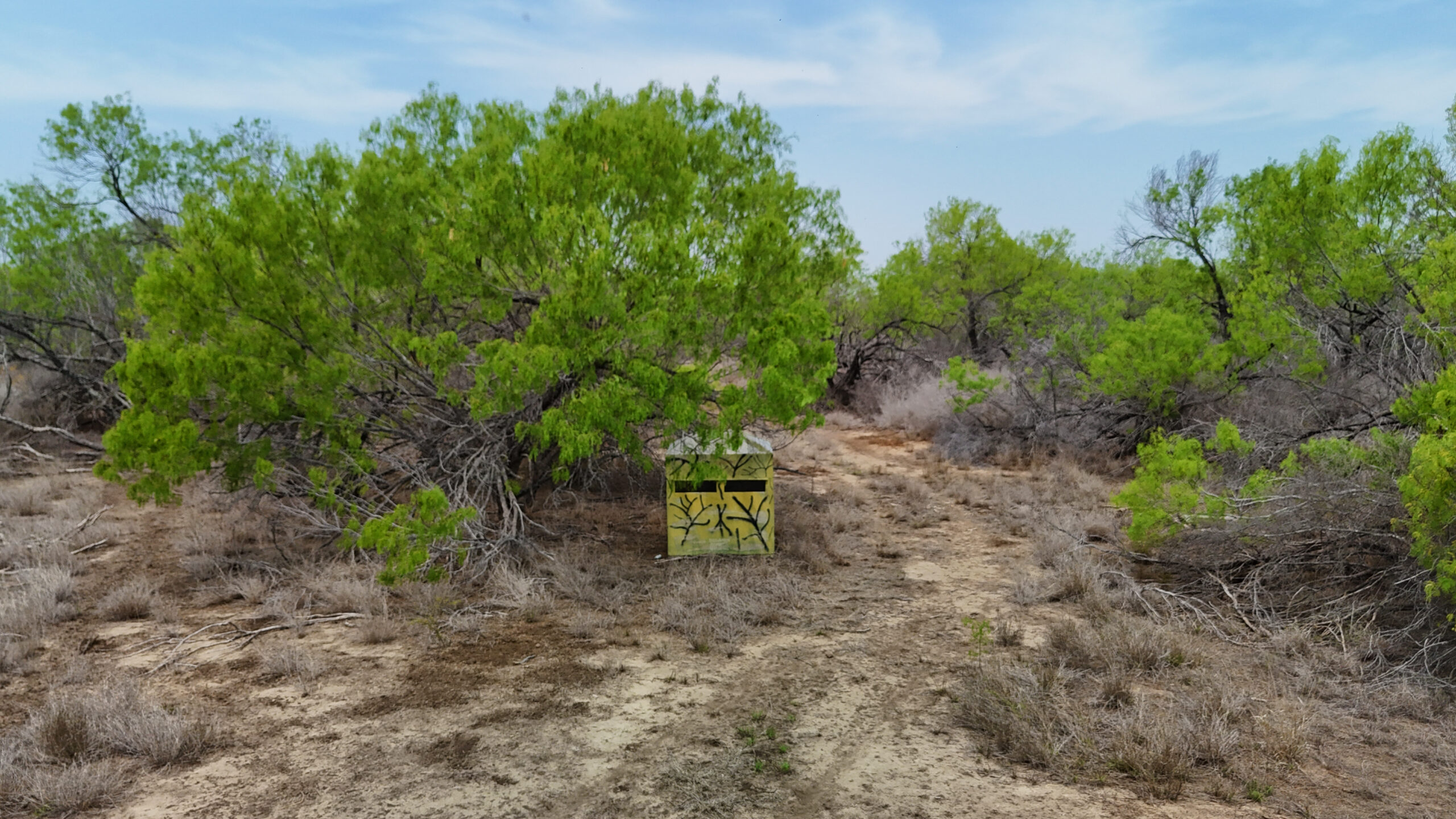 1,296 Acres Big Wells Ranch - Dullnig Ranches