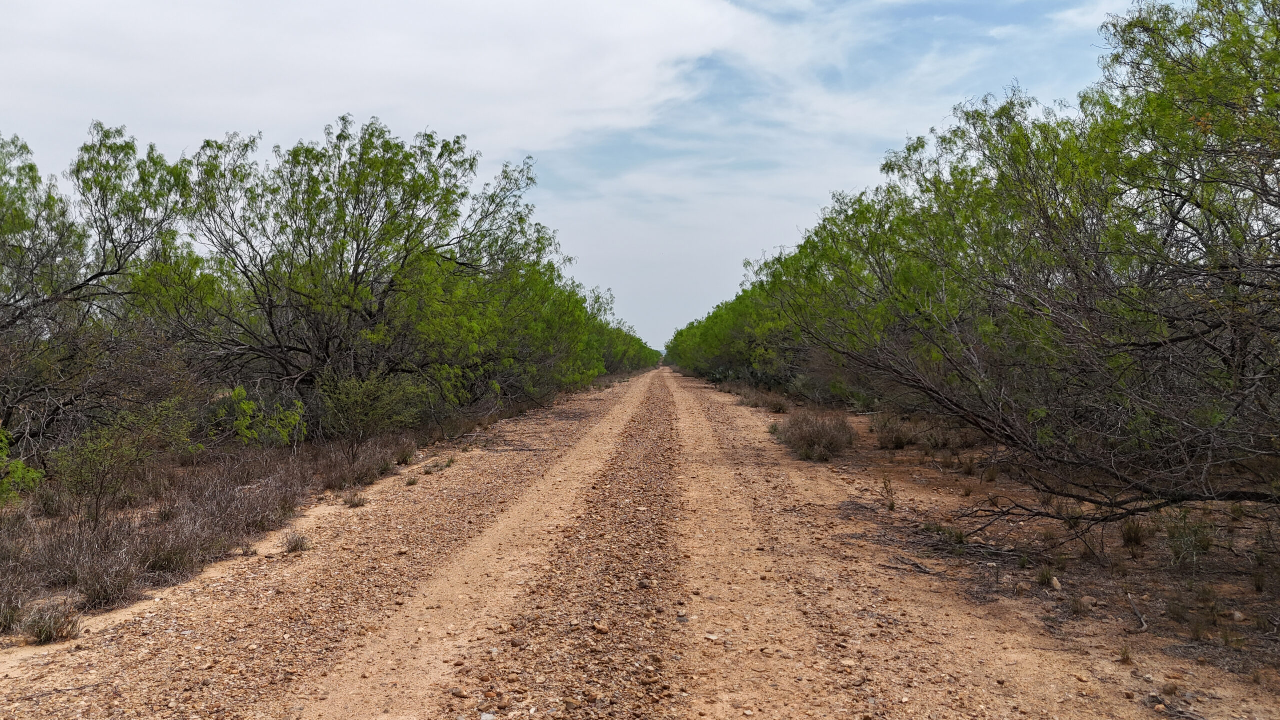 1,296 Acres Big Wells Ranch - Dullnig Ranches