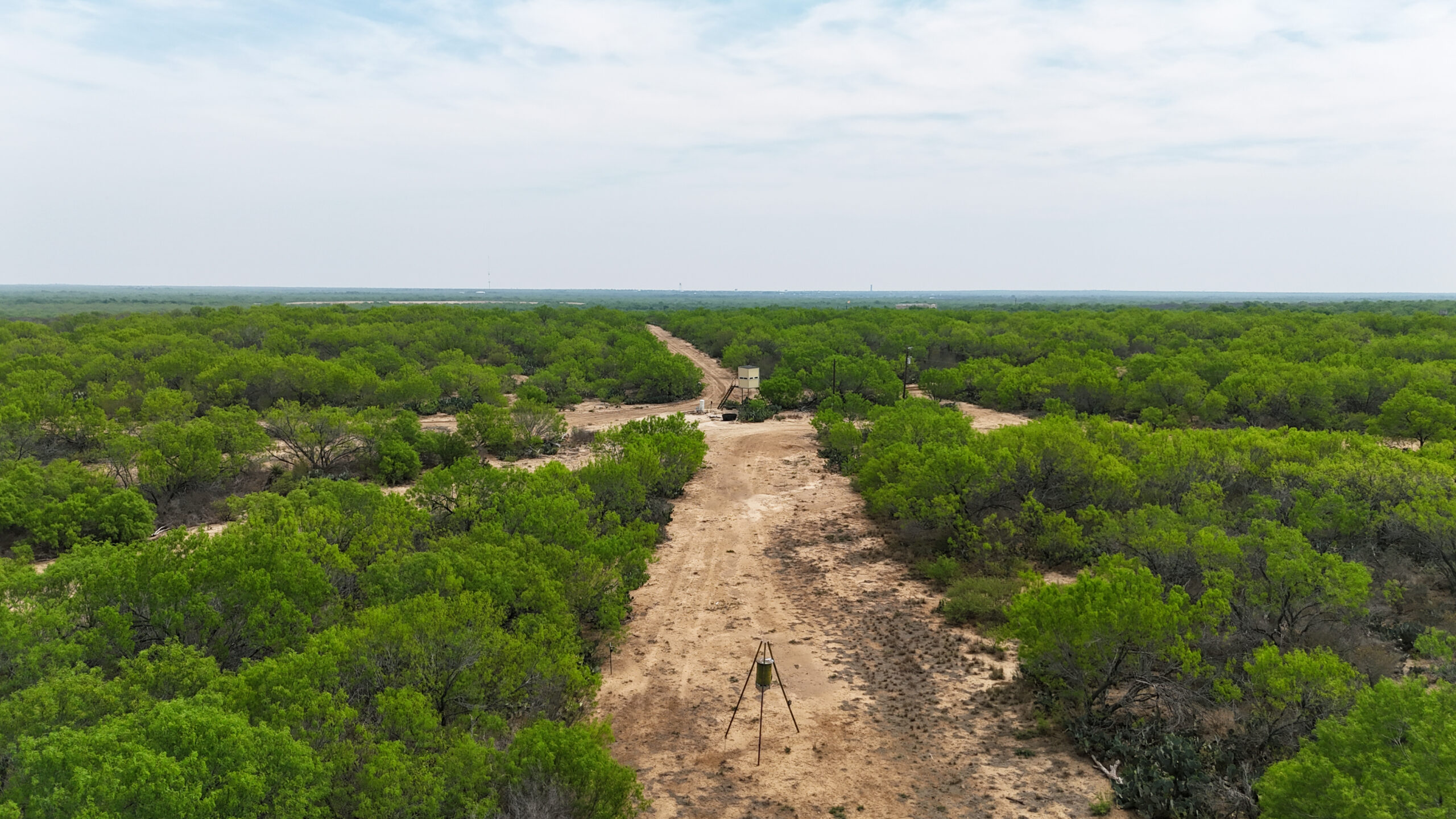 1,296 Acres Big Wells Ranch - Dullnig Ranches