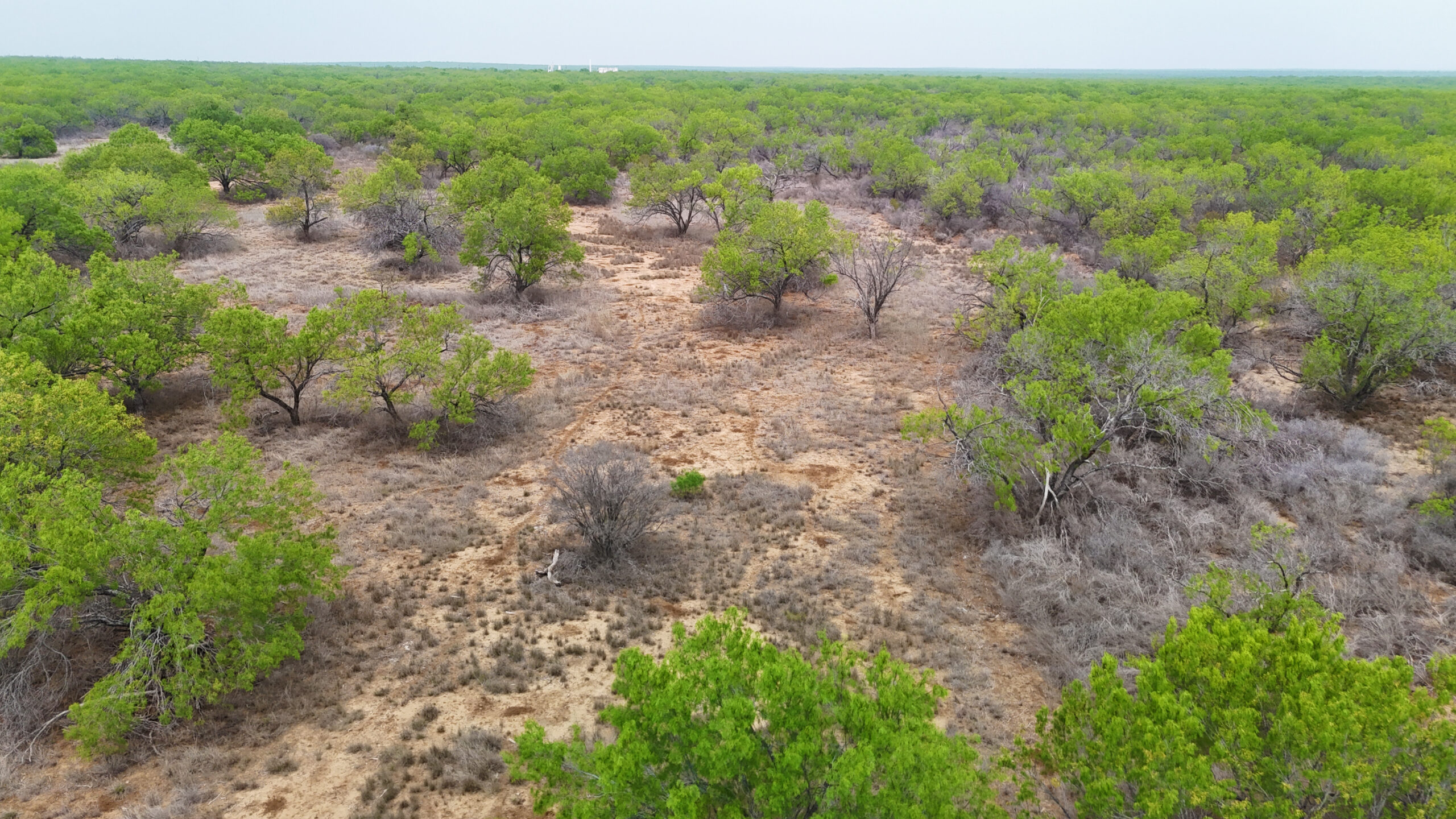 1,296 Acres Big Wells Ranch - Dullnig Ranches