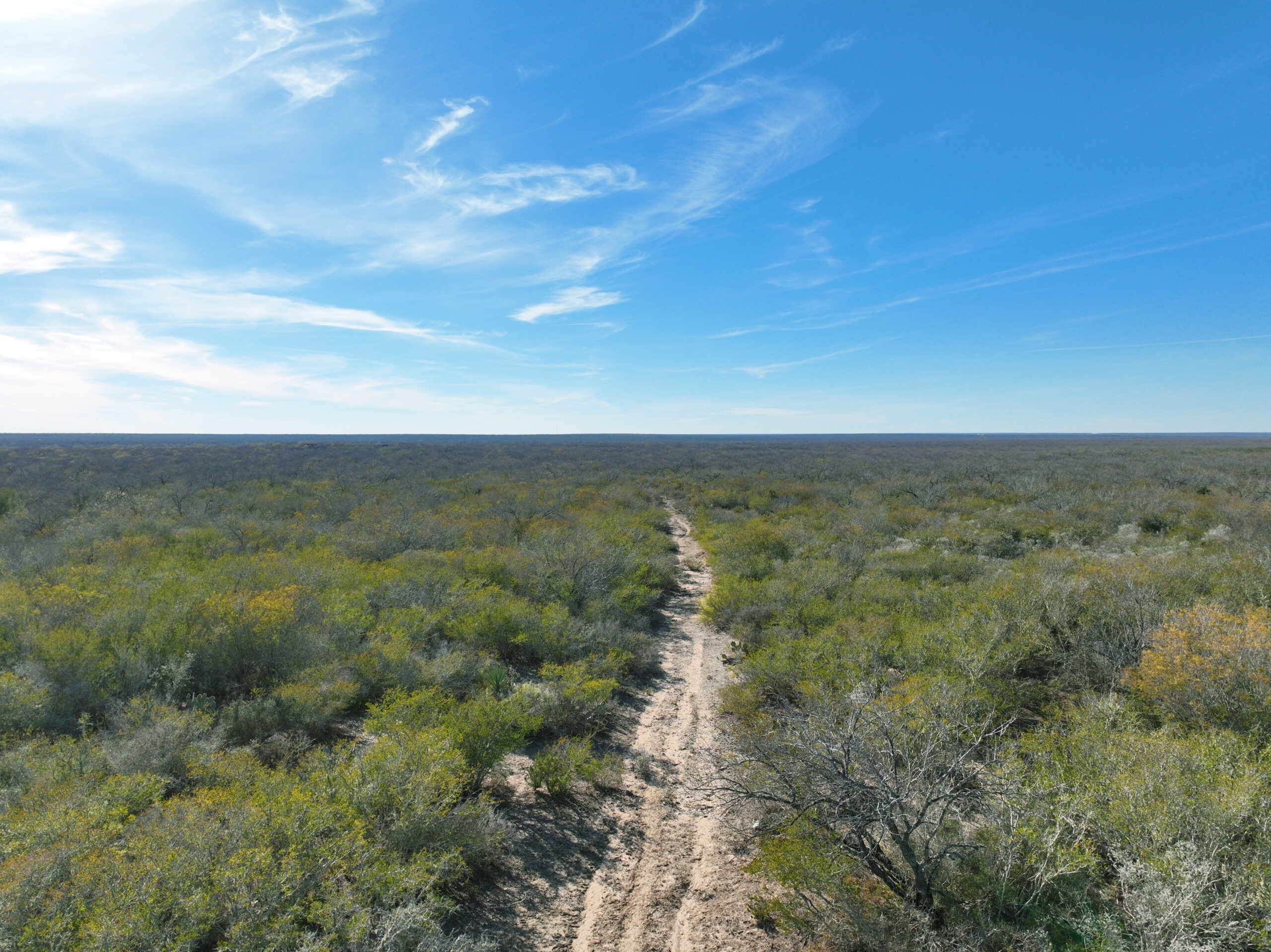 53 Acres McMullen County Ranch | South Texas Ranch for Sale | Dullnig ...