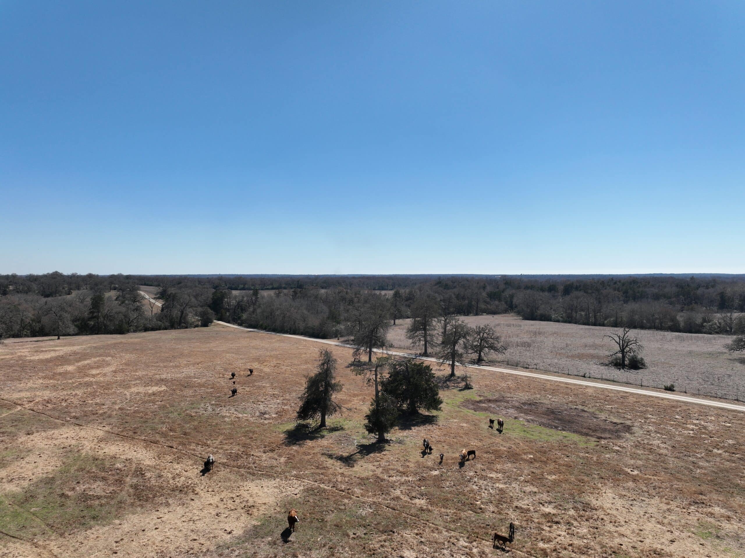 589 Acres Clear Creek Ranch - Dullnig Ranches