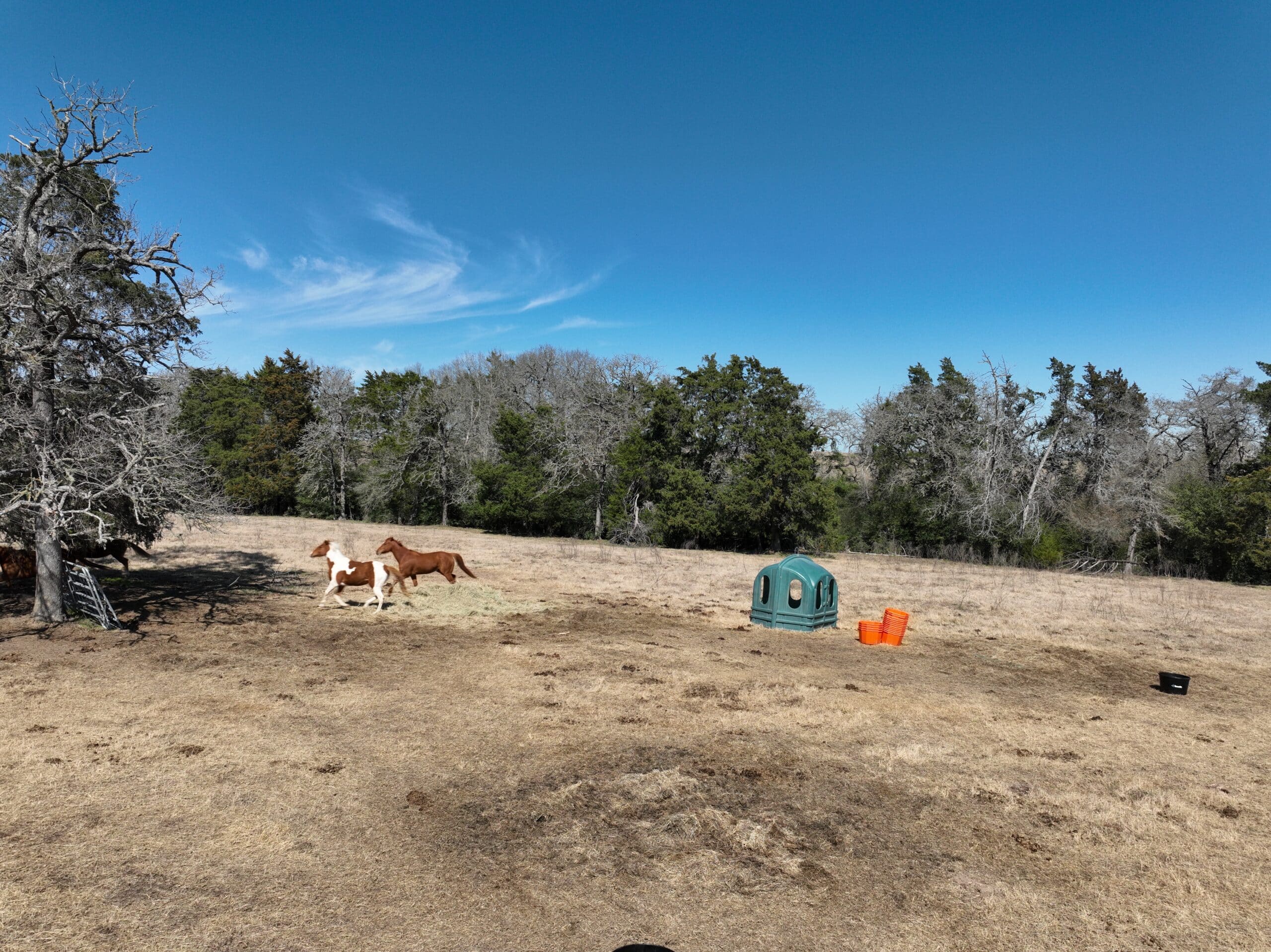 589 Acres Clear Creek Ranch - Dullnig Ranches