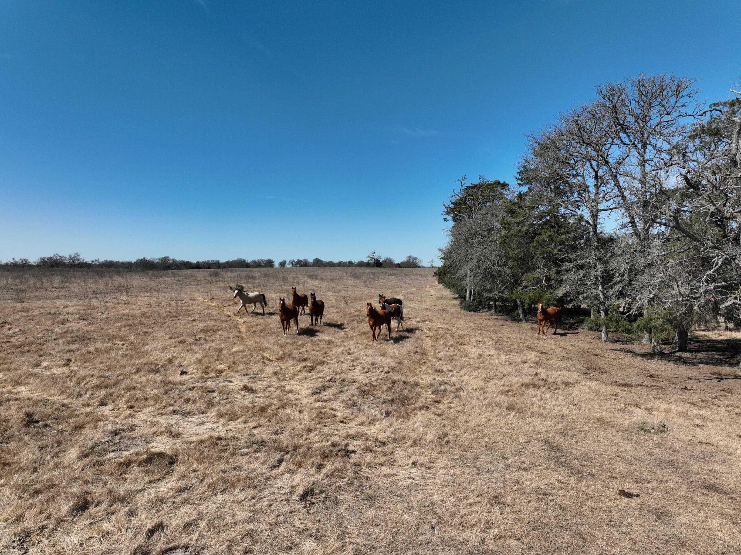589 Acres Clear Creek Ranch - Dullnig Ranches