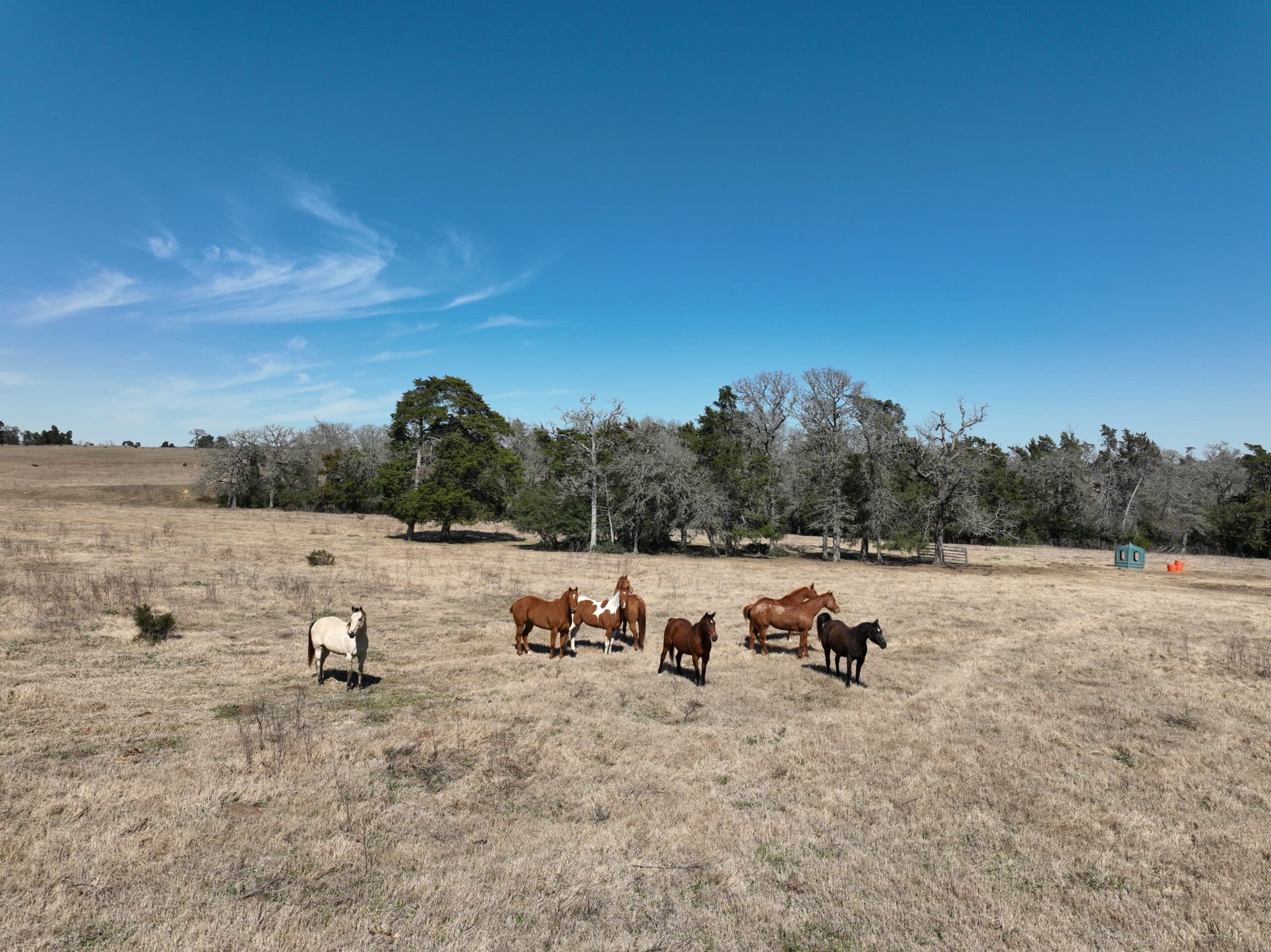 589 Acres Clear Creek Ranch - Dullnig Ranches