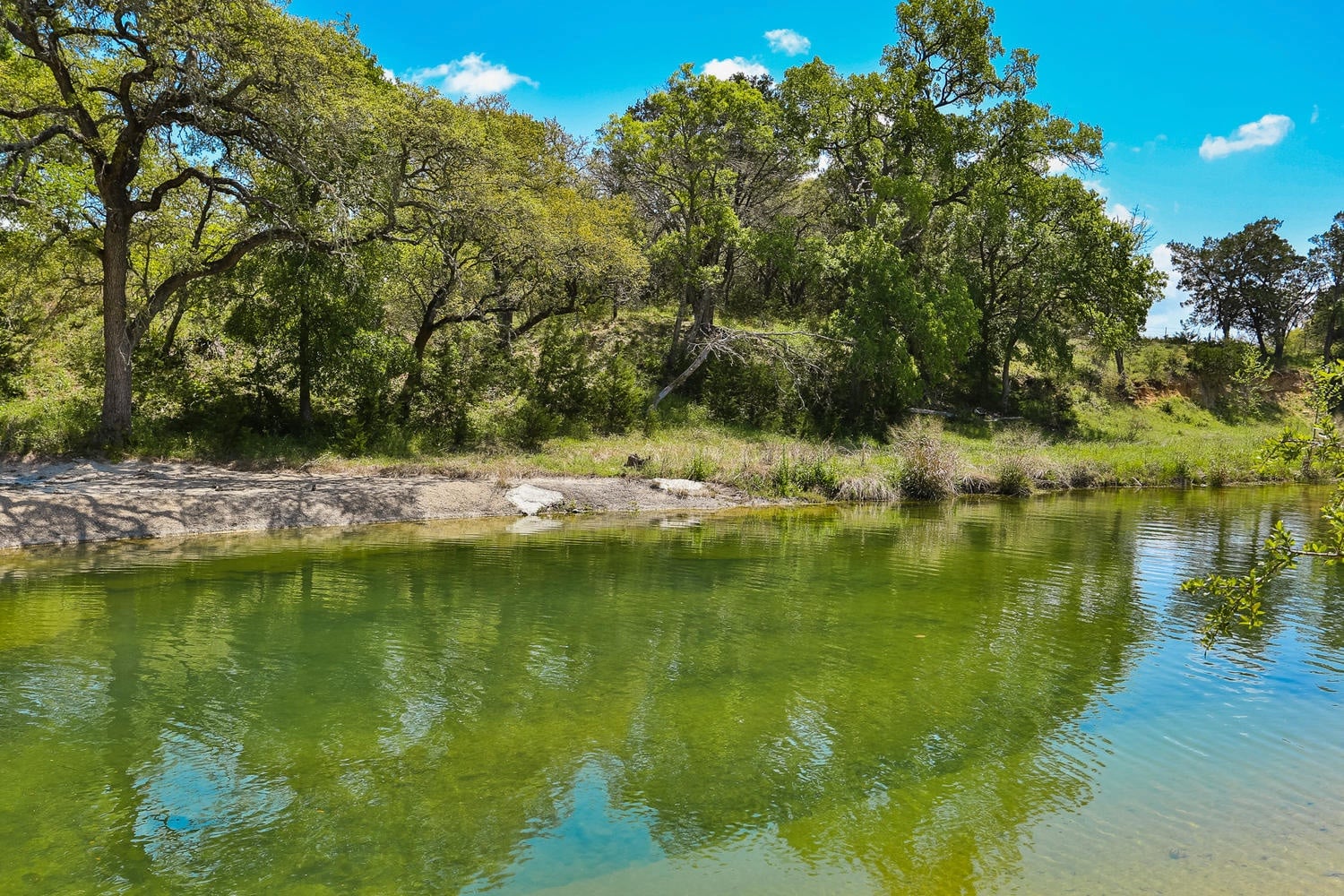 338 Acres Big Creek Ranch | Hill Country Ranch for Sale | Dullnig Ranches