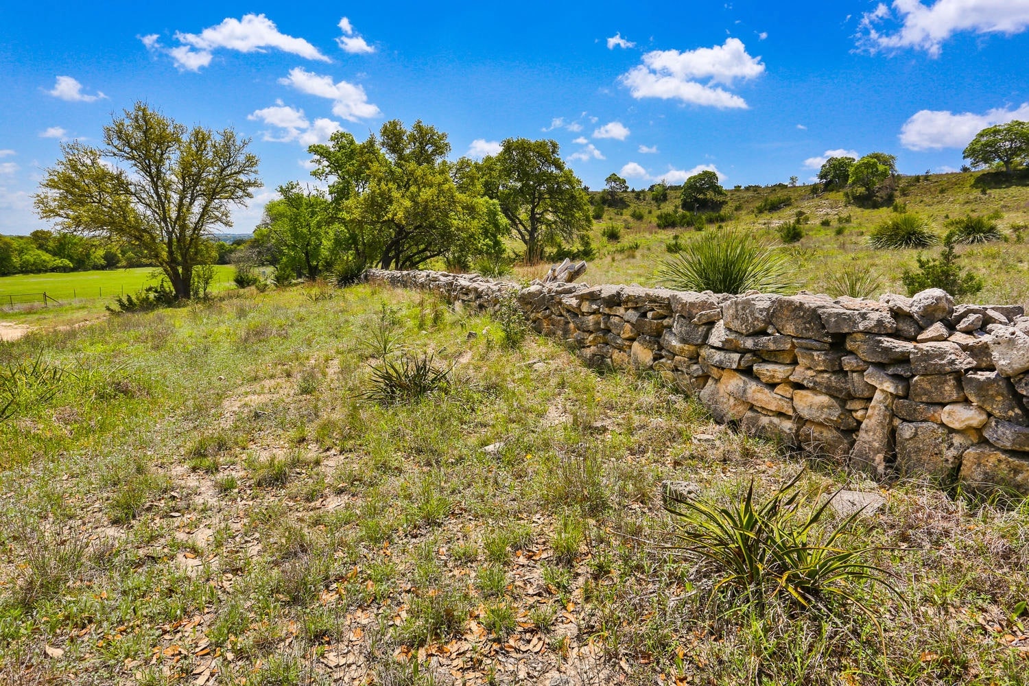 338 Acres Big Creek Ranch | Hill Country Ranch for Sale | Dullnig Ranches