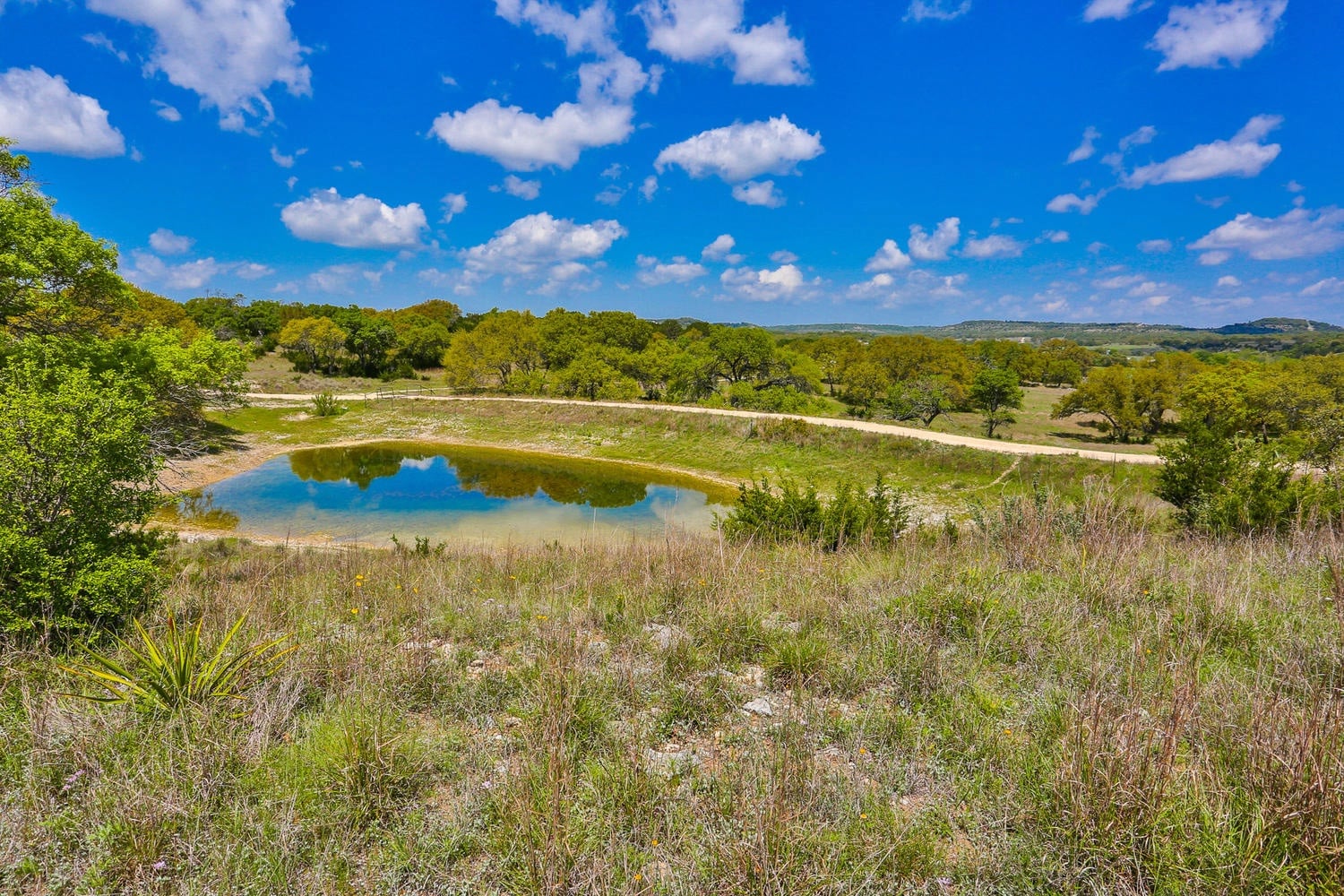 338 Acres Big Creek Ranch | Hill Country Ranch for Sale | Dullnig Ranches