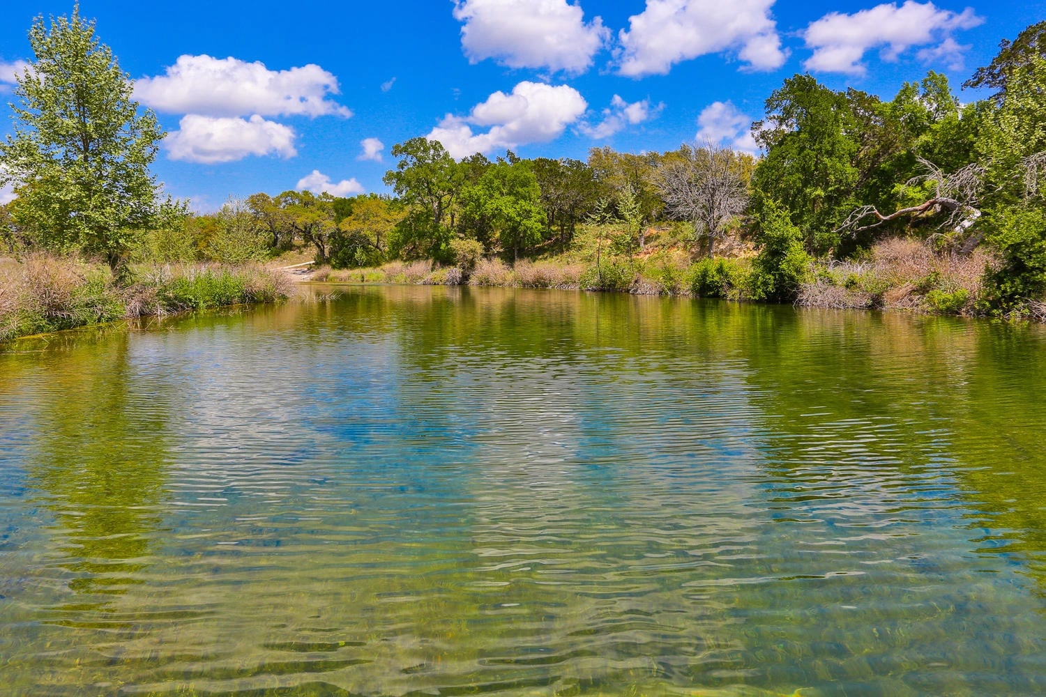 338 Acres Big Creek Ranch | Hill Country Ranch for Sale | Dullnig Ranches
