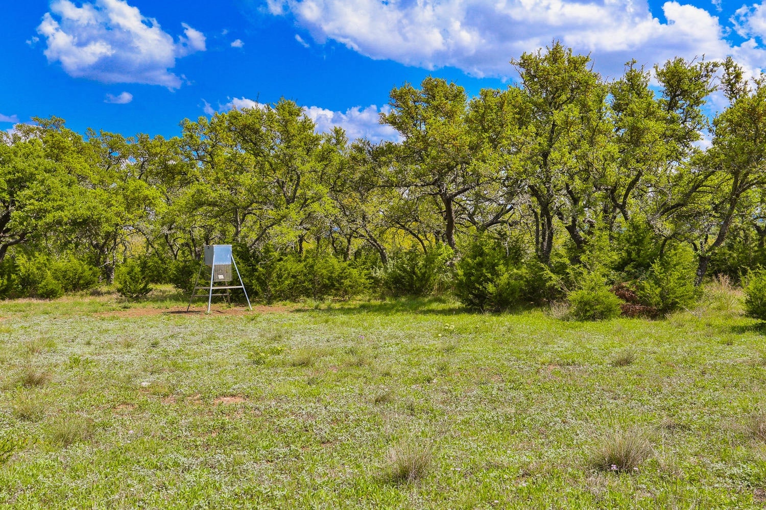 338 Acres Big Creek Ranch | Hill Country Ranch for Sale | Dullnig Ranches