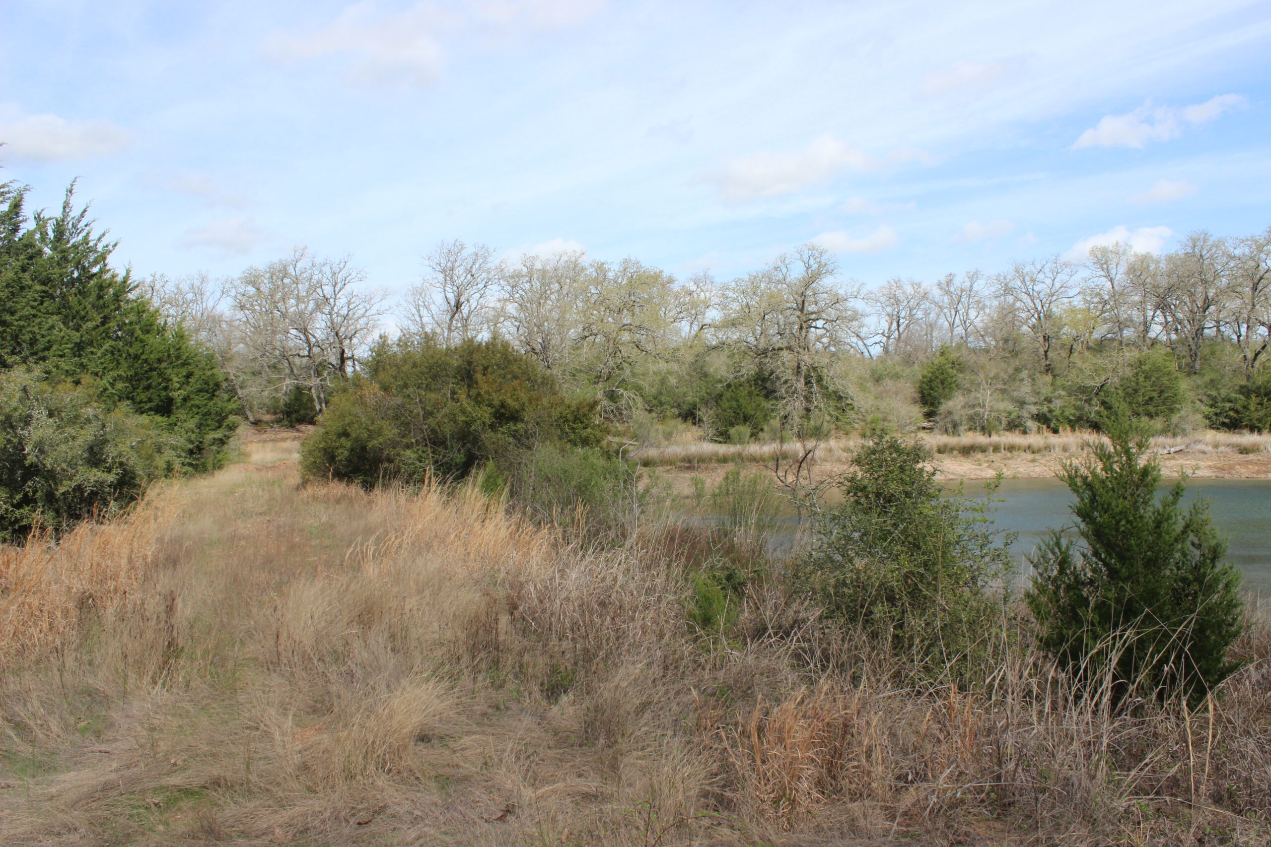 205 Acres Cerveza Ranch - Dullnig Ranches