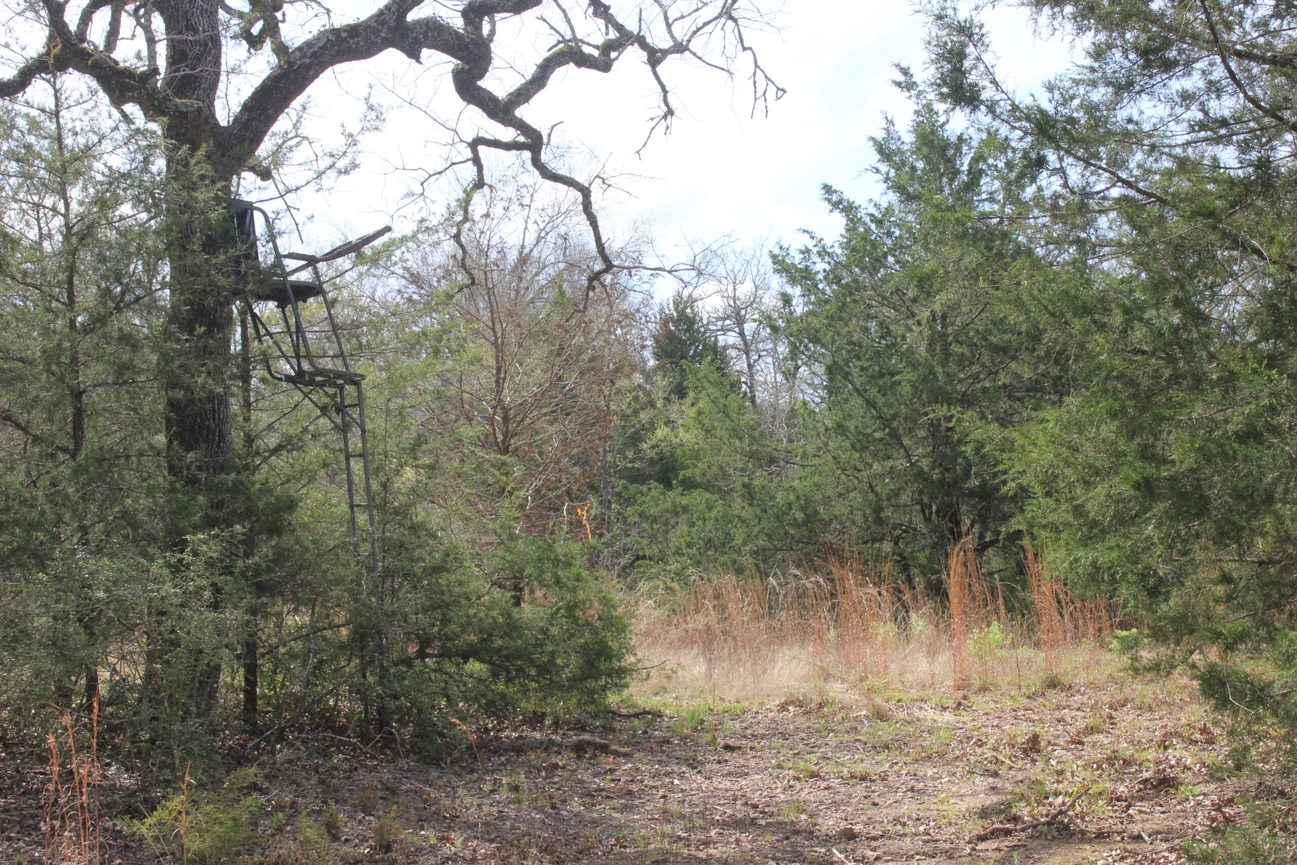 205 Acres Cerveza Ranch - Dullnig Ranches