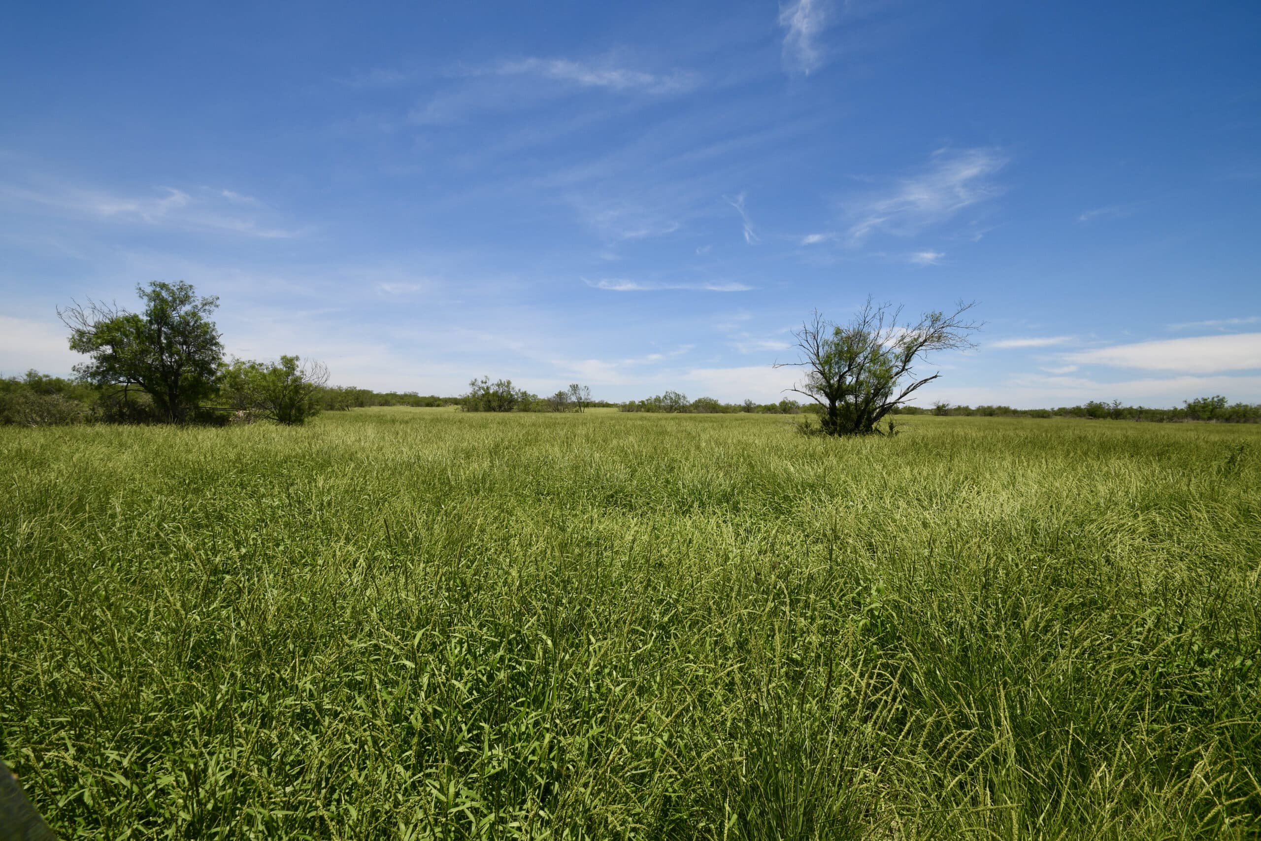 2,200 Acres Drummond Creek Ranch - Dullnig Ranches