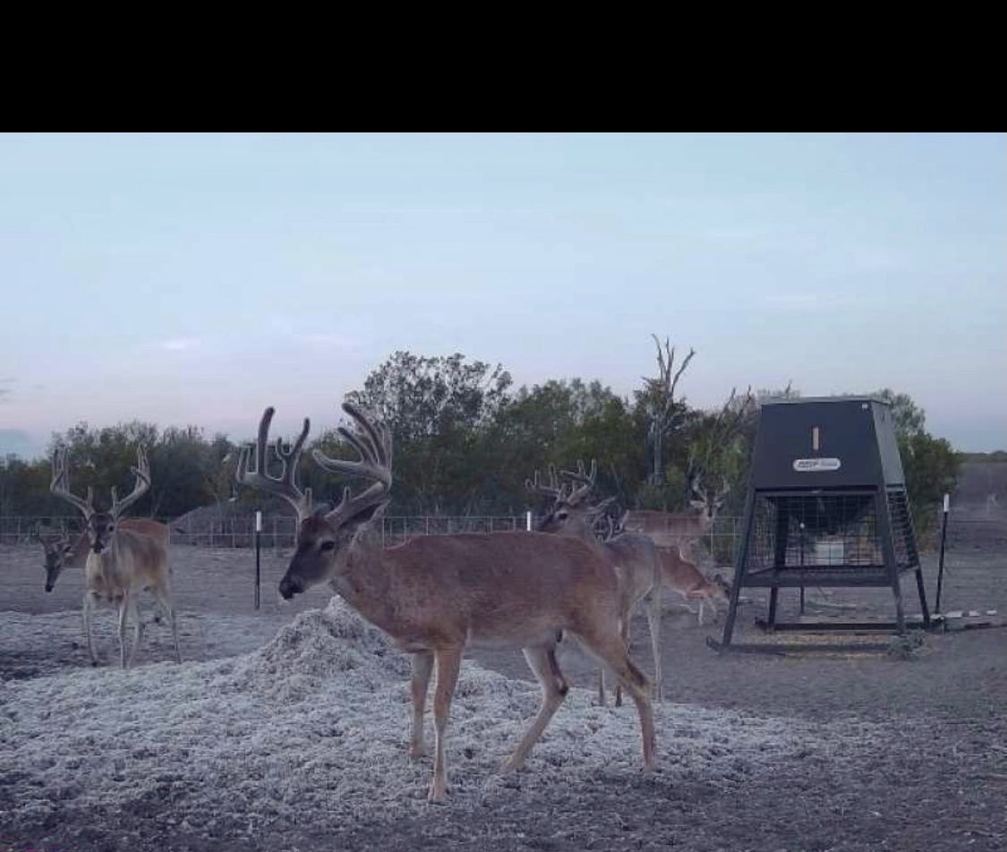 2,200 Acres Drummond Creek Ranch - Dullnig Ranches