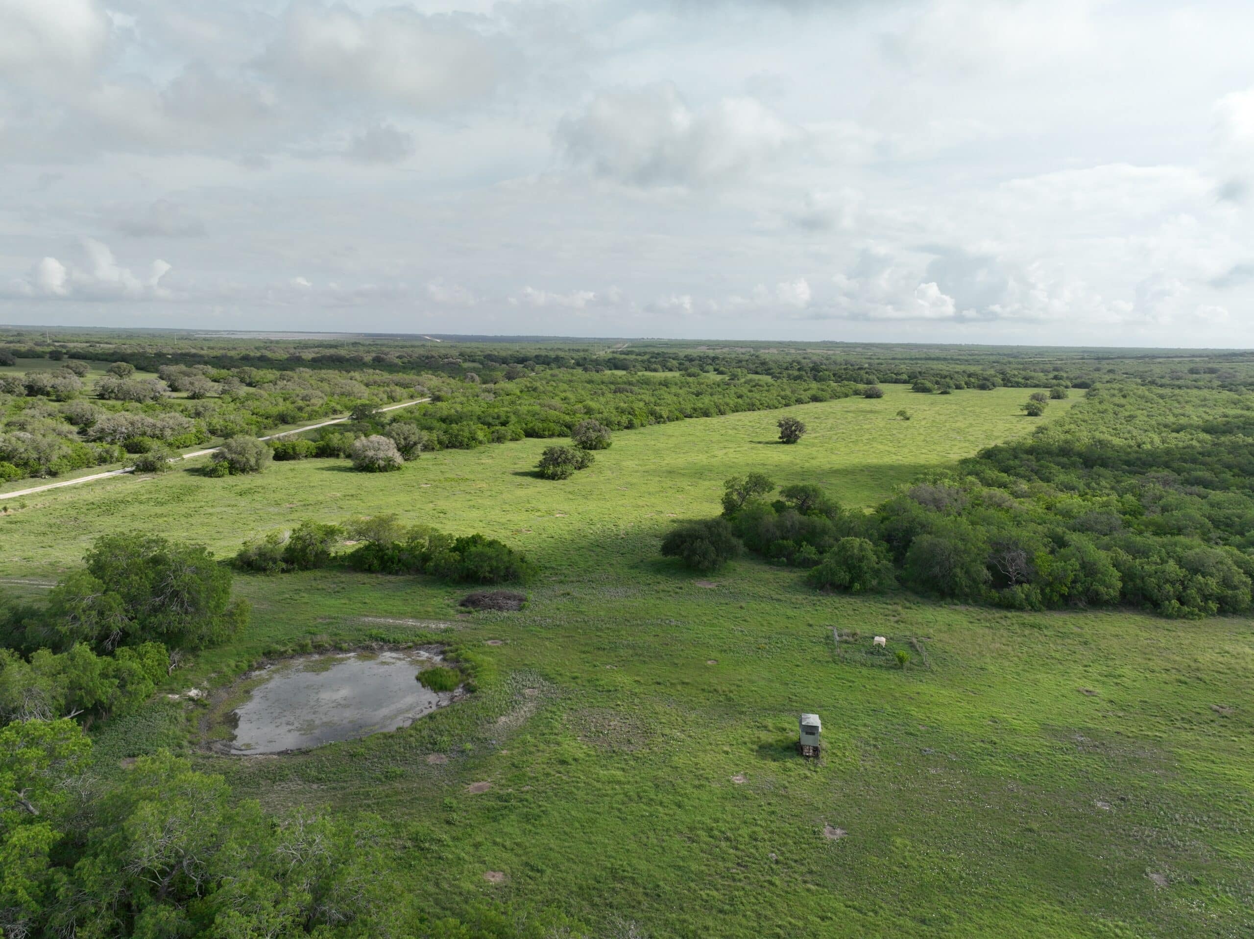 2,445 Acres Double Diamond Ranch | Coastal Prairie Ranch for Sale ...
