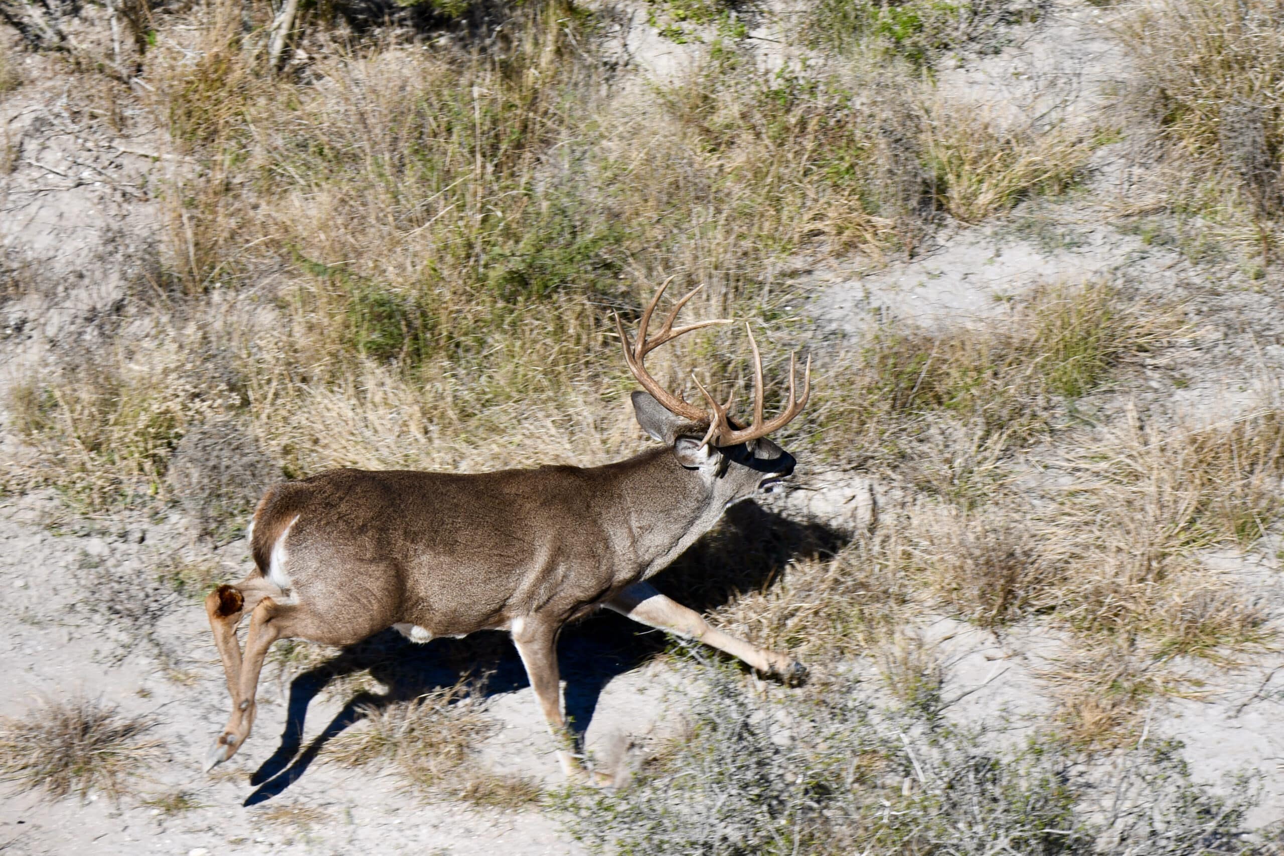 2,200 Acres Drummond Creek Ranch - Dullnig Ranches
