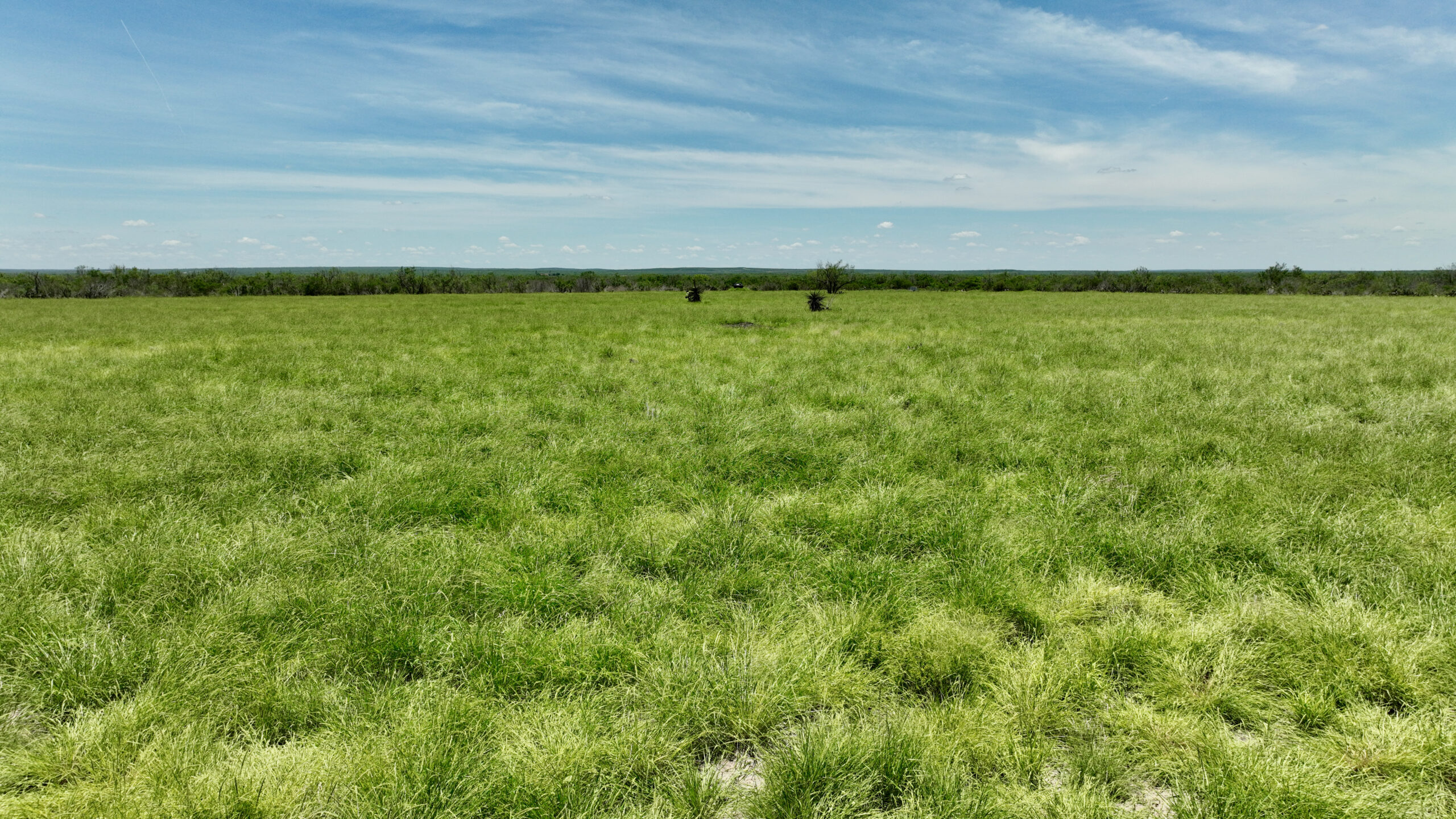 2,200 Acres Drummond Creek Ranch - Dullnig Ranches