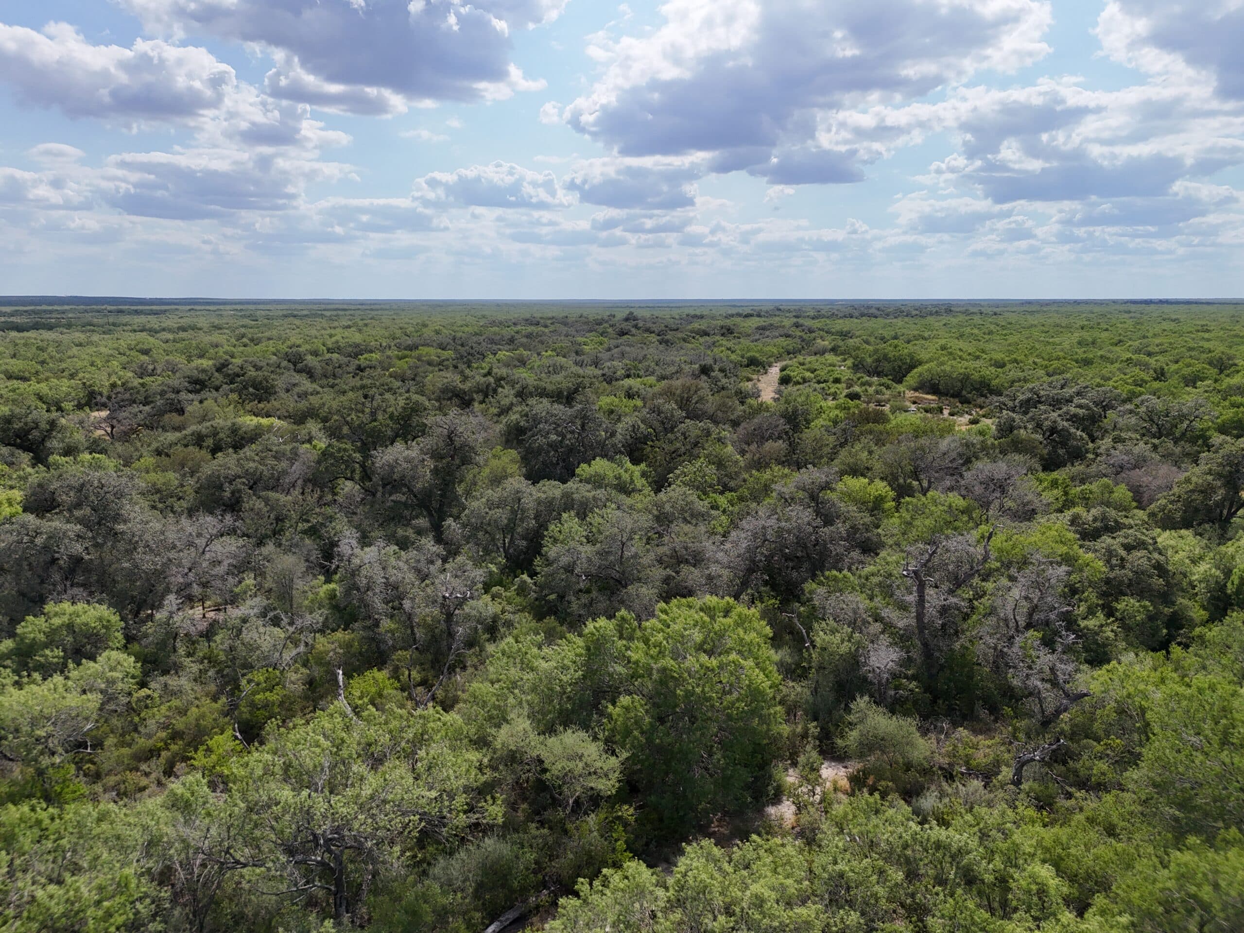 3,197 Acres Little Yoledigo Creek Ranch | South Texas Ranch for Sale ...
