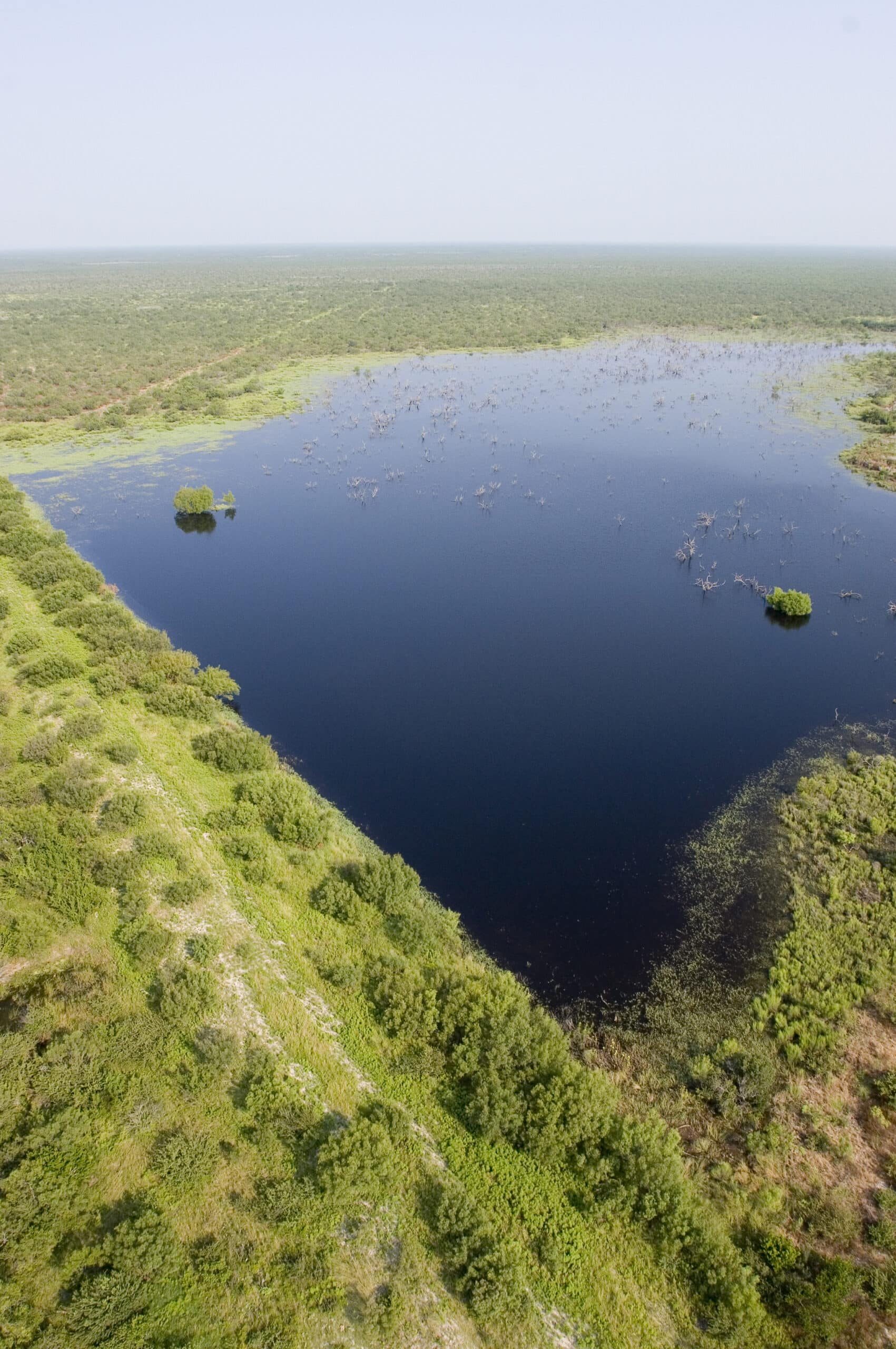 61,890 Acres Burr Ranch | South Texas Ranch for Sale | Dullnig Ranches