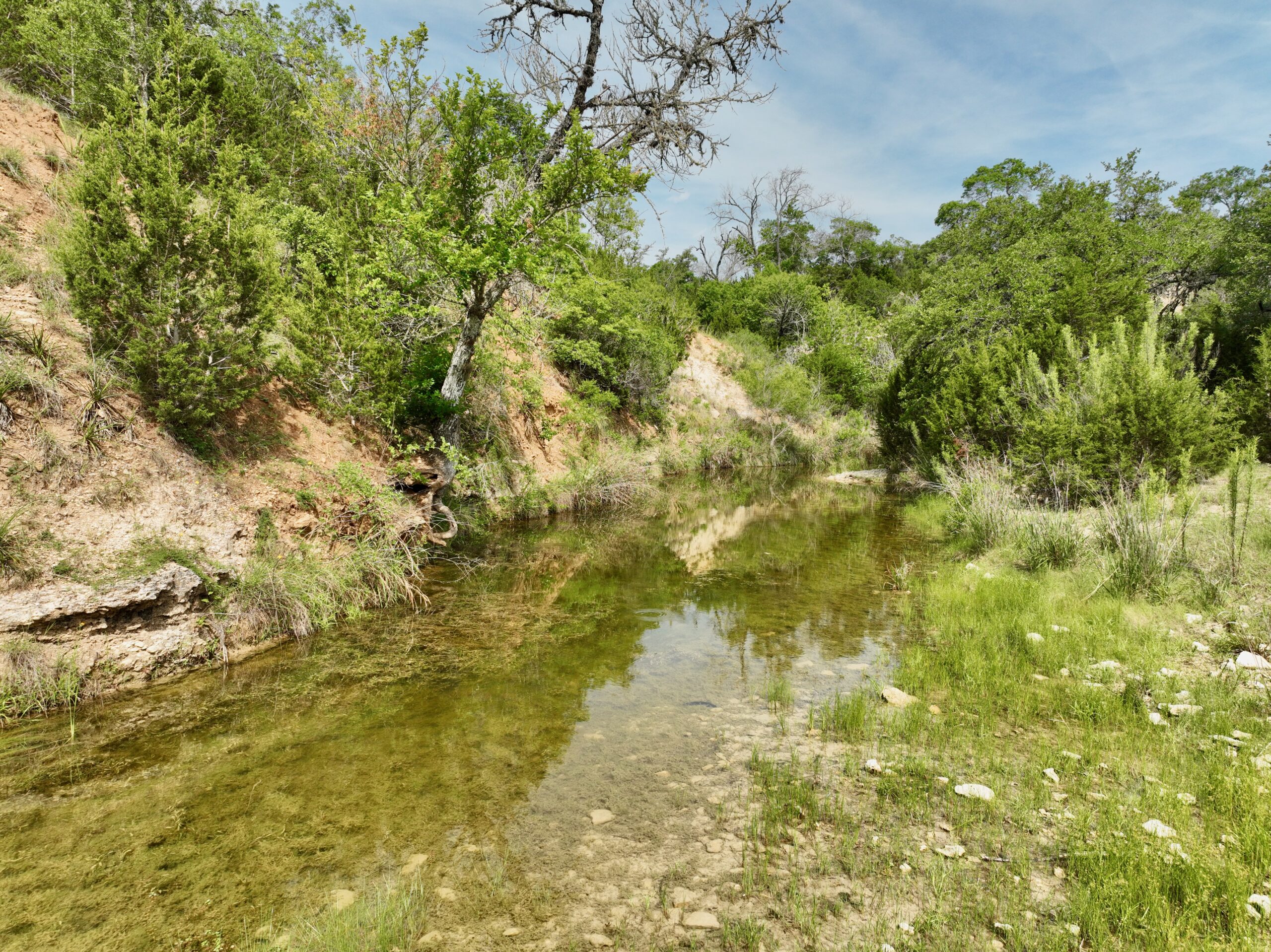 386 Acres Last Buck Ranch | Hill Country Ranch for Sale | Dullnig Ranches