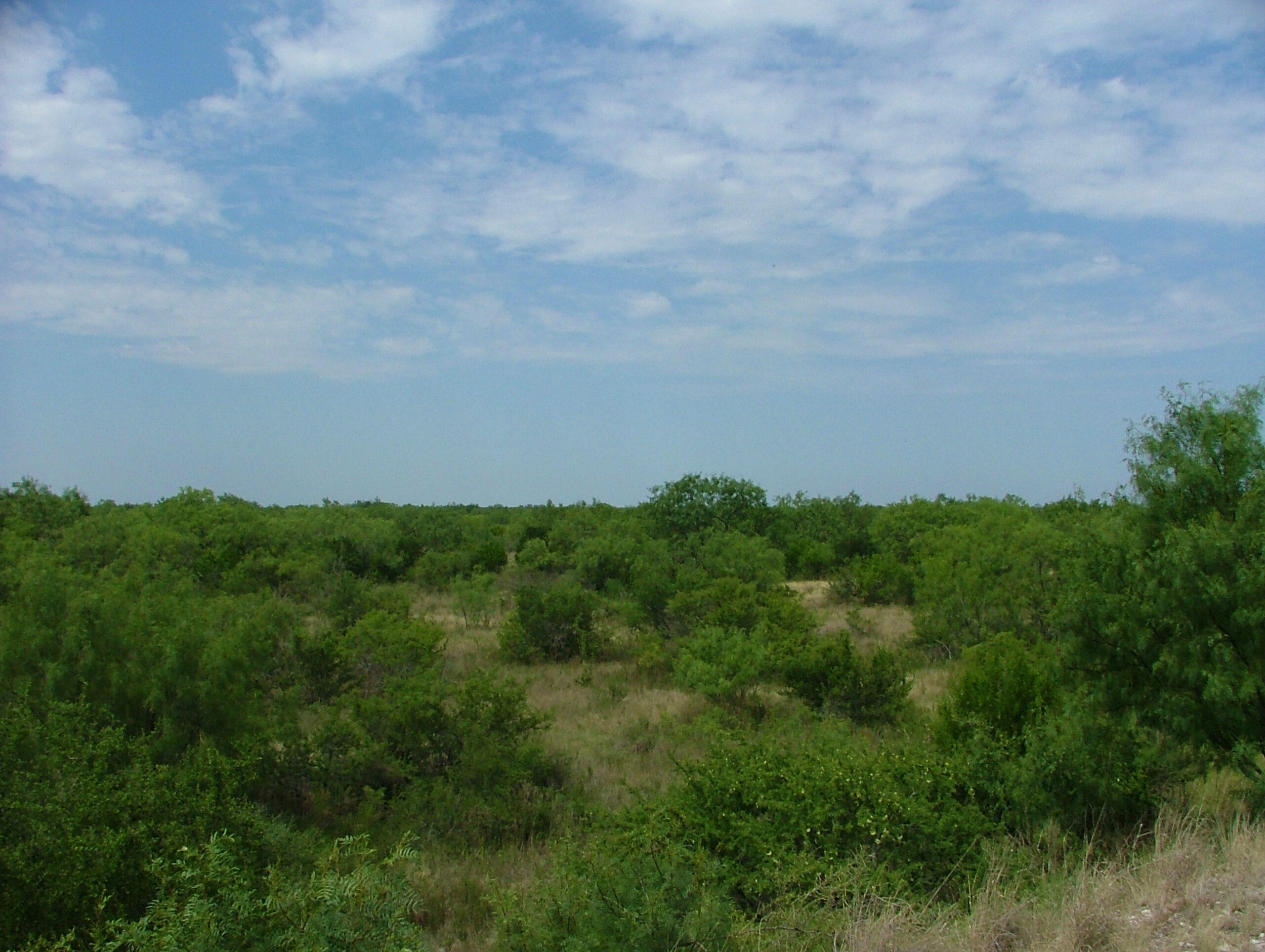 61,890 Acres Burr Ranch | South Texas Ranch for Sale | Dullnig Ranches