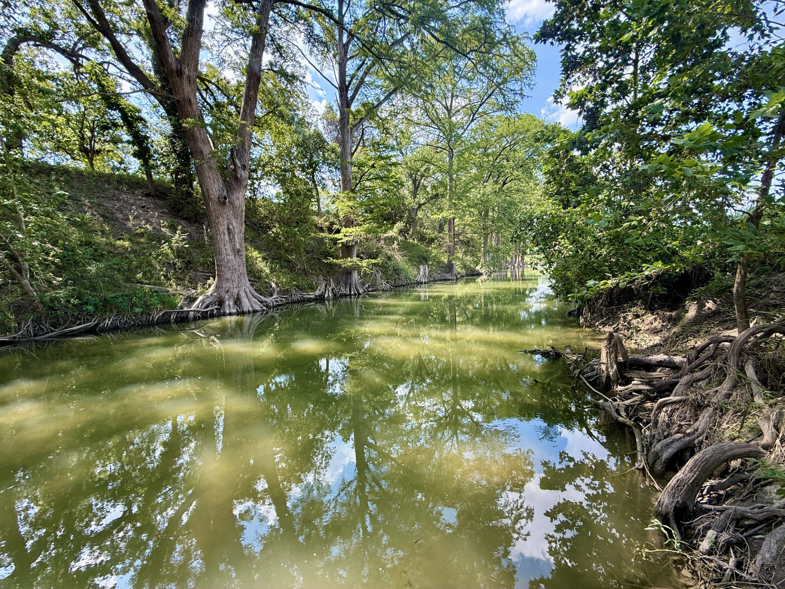 Home - Dullnig Ranches