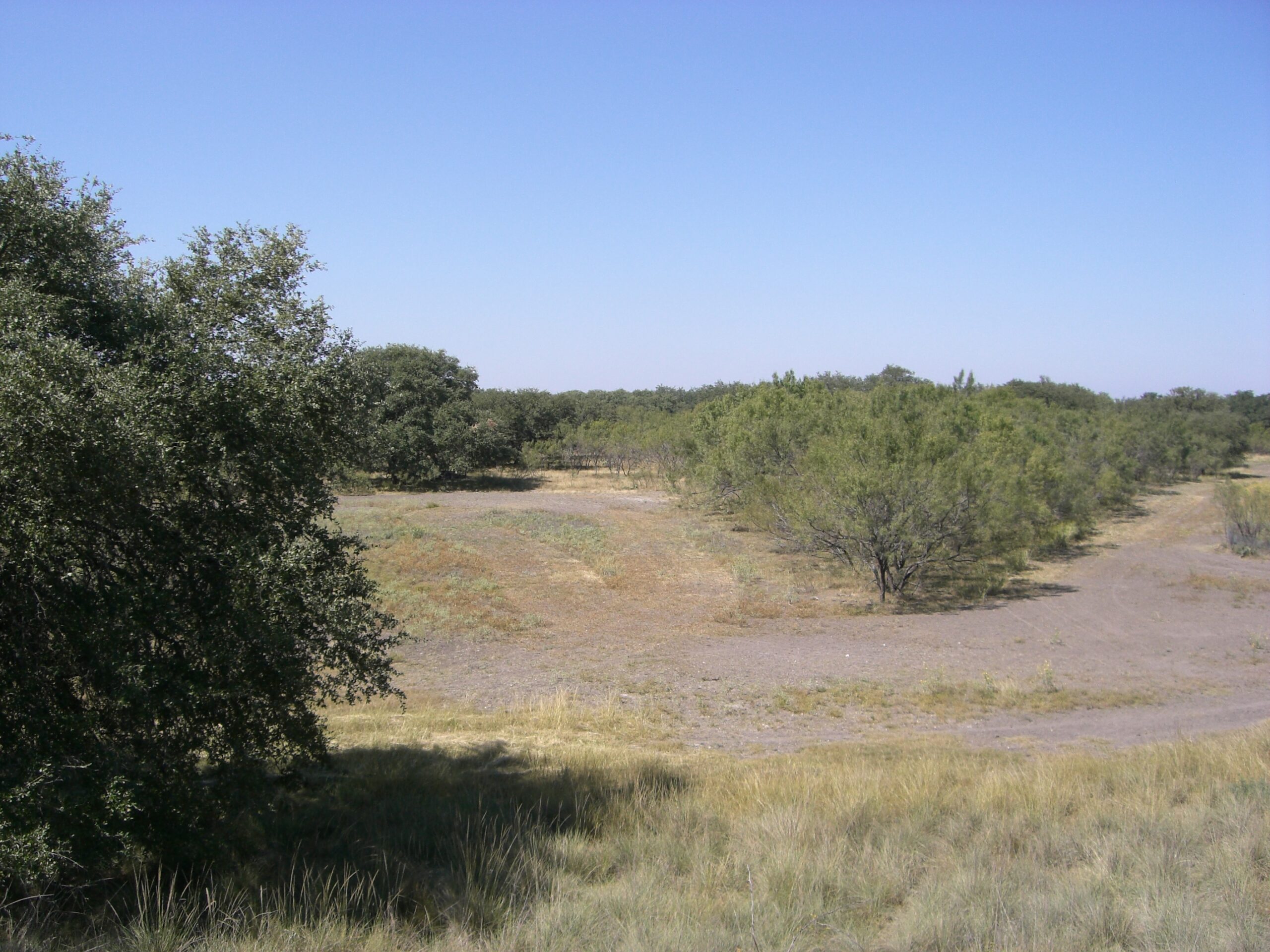 8,851 Acres El Corazon Ranch | South Texas Ranch for Sale | Dullnig Ranches